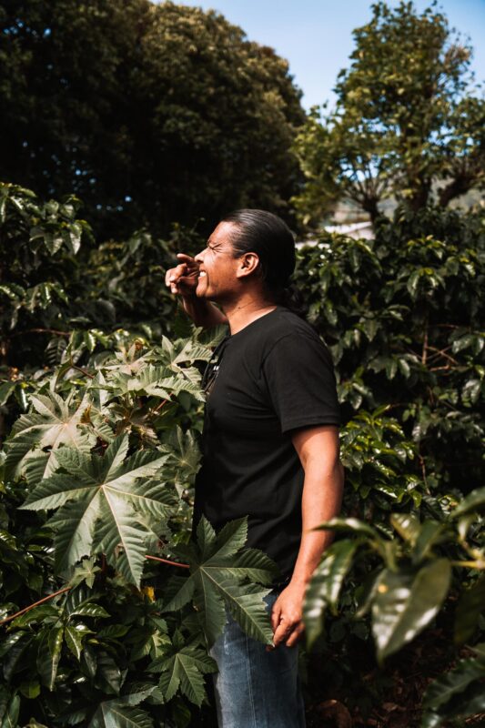 What to do in Boquete? 10 Tips! - Travelrebels