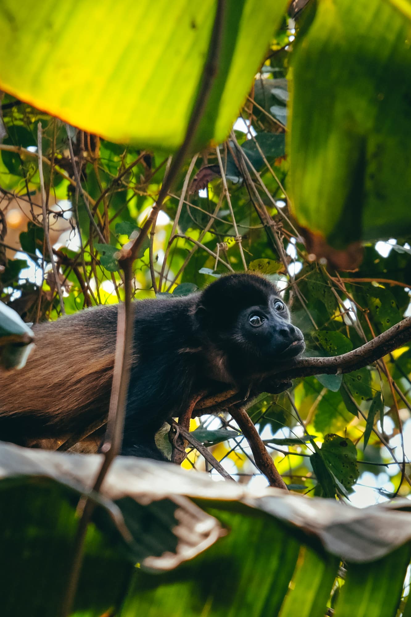 The 8 Most Beautiful National Parks Costa Rica - TRAVELREBELS