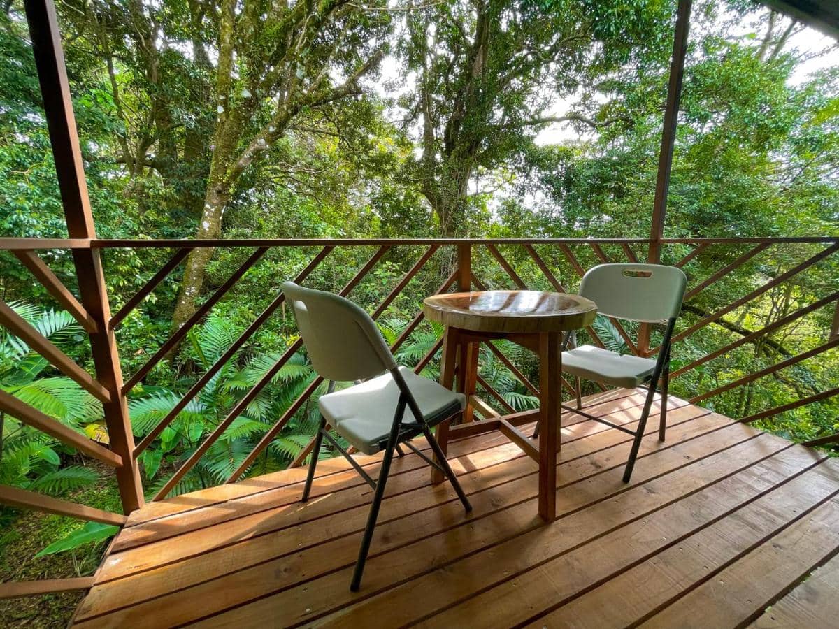 12 Fun Tips for Monteverde in Costa Rica - TRAVELREBELS