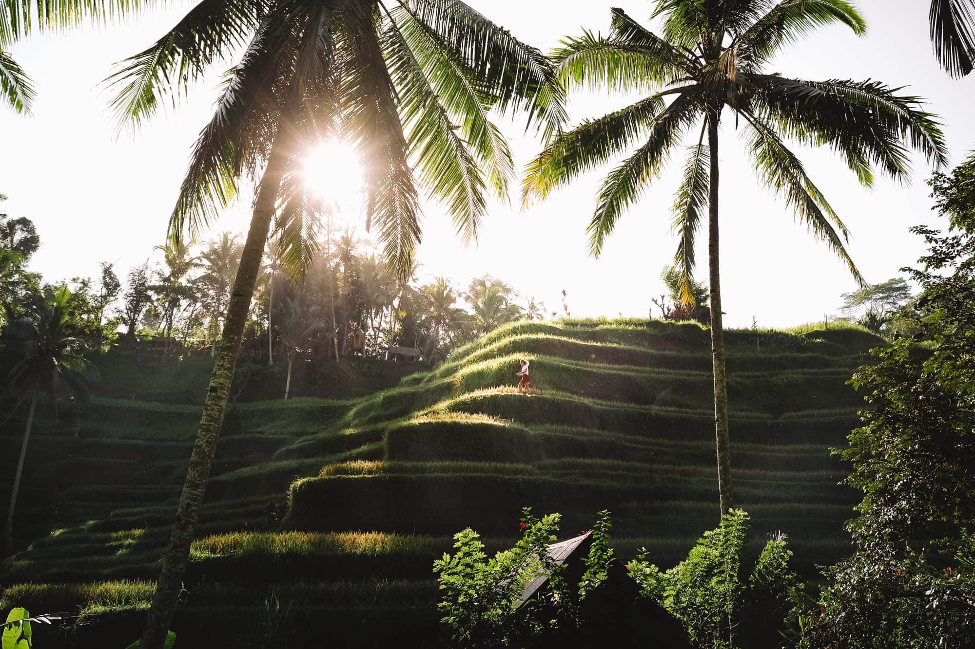 What to Do in Ubud? 12 Things to Do in the Most Beautiful Places!