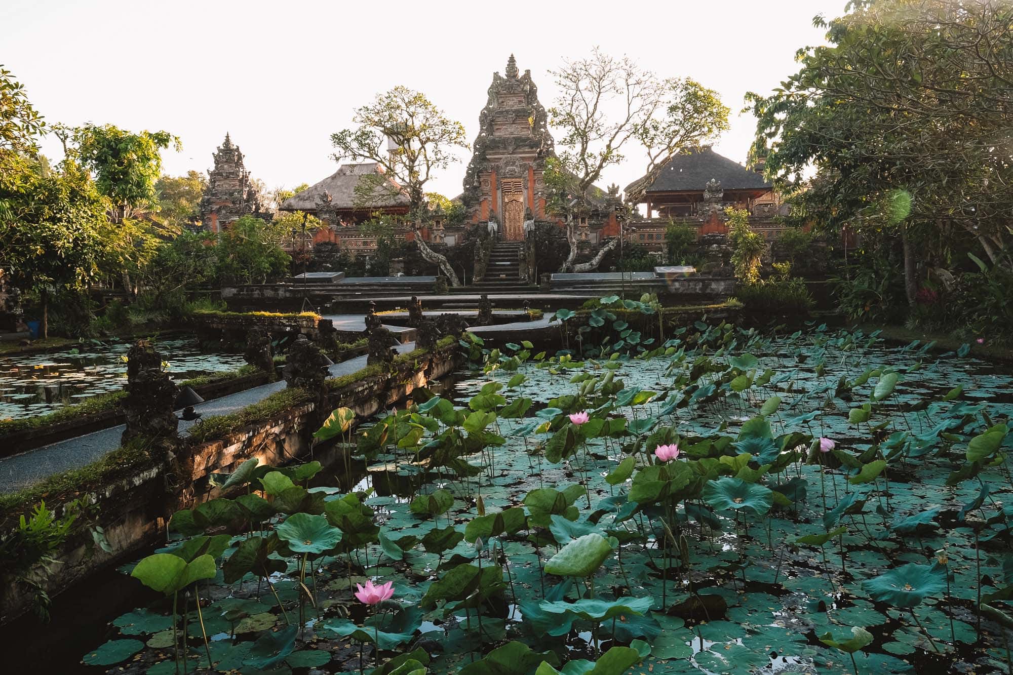 What to Do in Ubud? 12 Things to Do in the Most Beautiful Places!