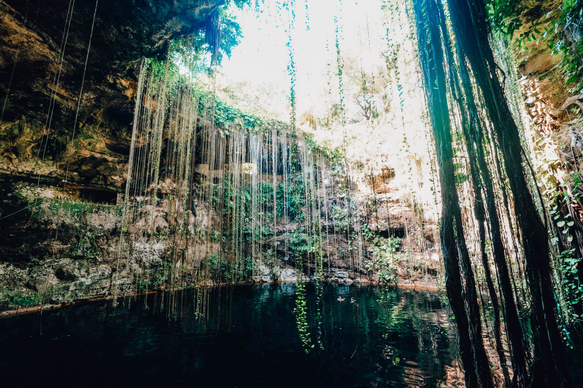 These are the 7 Most Beautiful Cenotes in Southern Mexico + Tips