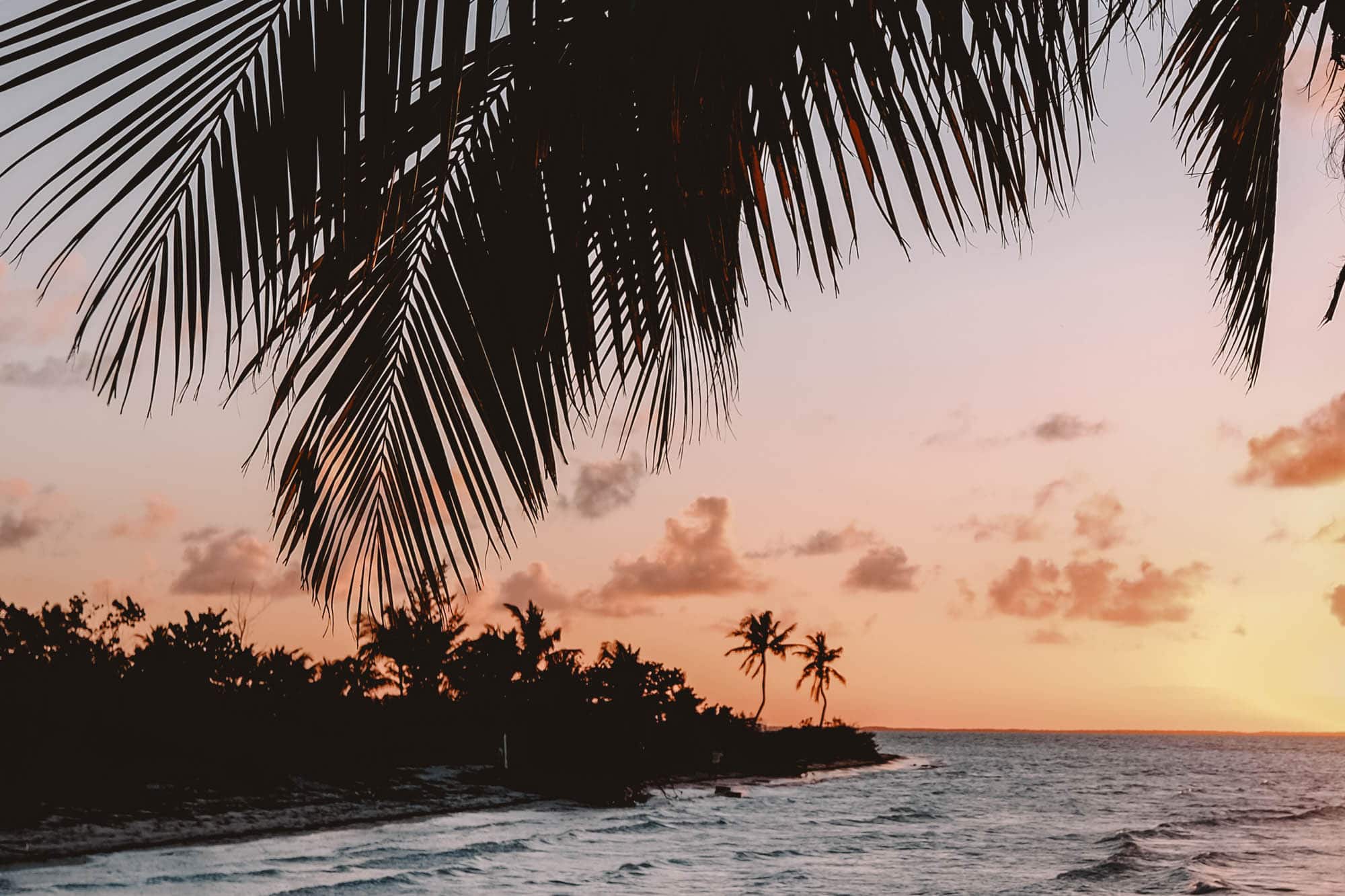 8 Tips for Isla Holbox in Mexico - TRAVELREBELS