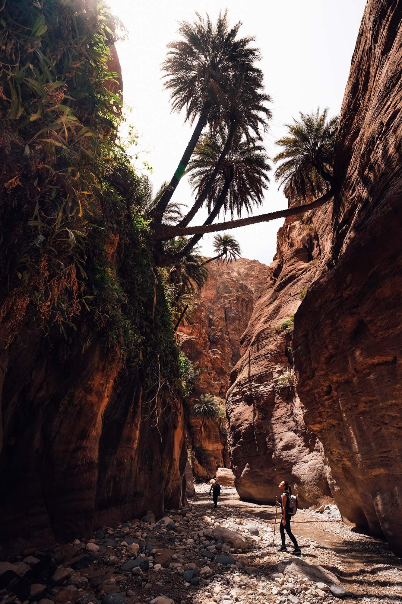 5 Tips for Visiting Dana and Going Off the Beaten Path in Jordan
