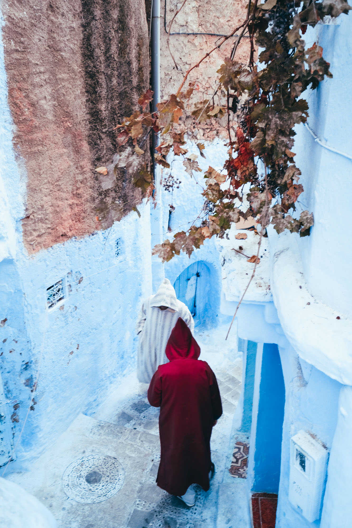Mini Travel Guide with 10 Tips for The Royal Fez - Travelrebels