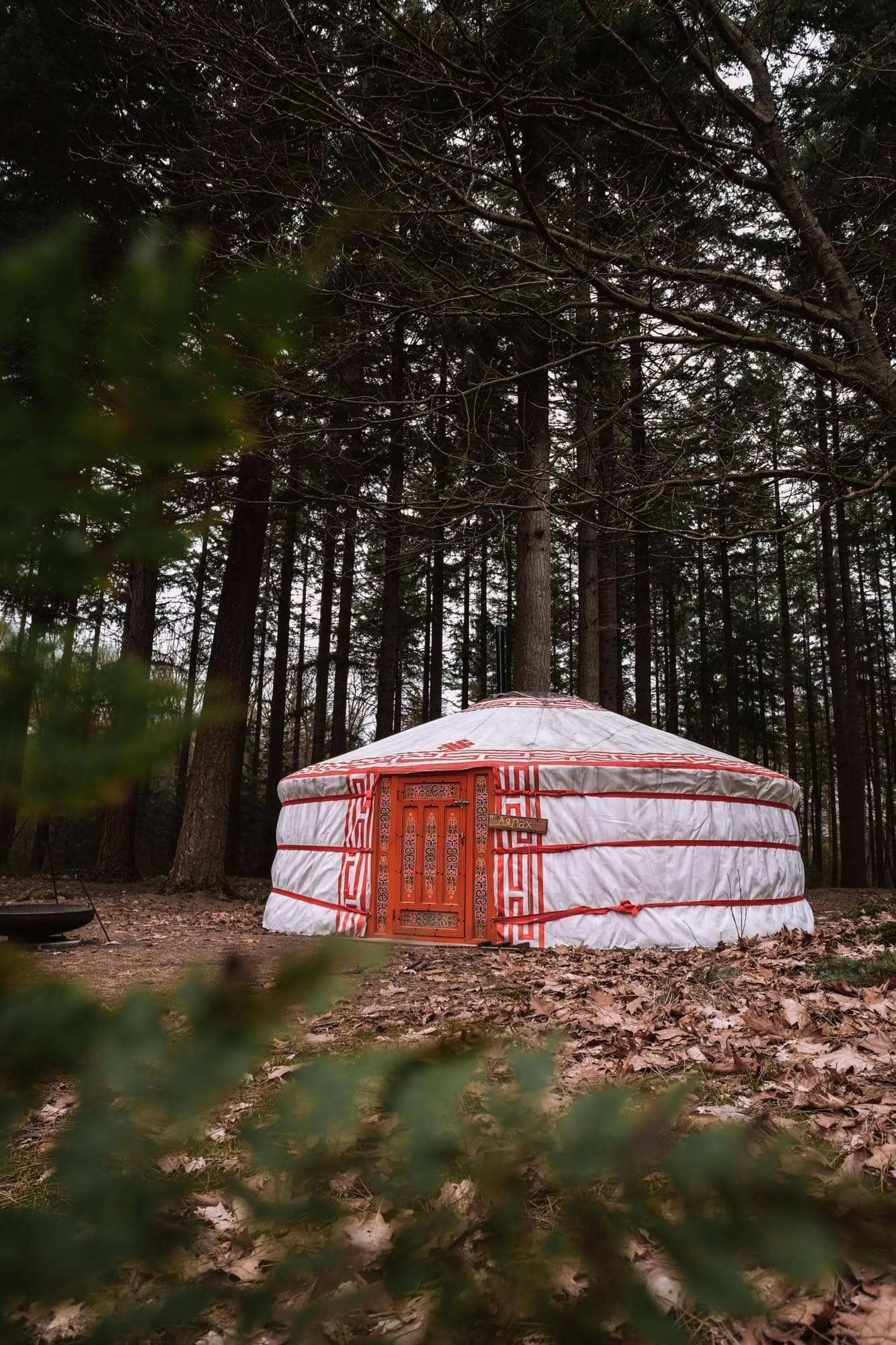 Winterwoods: Stay in a Yurt Tent - Travelrebels