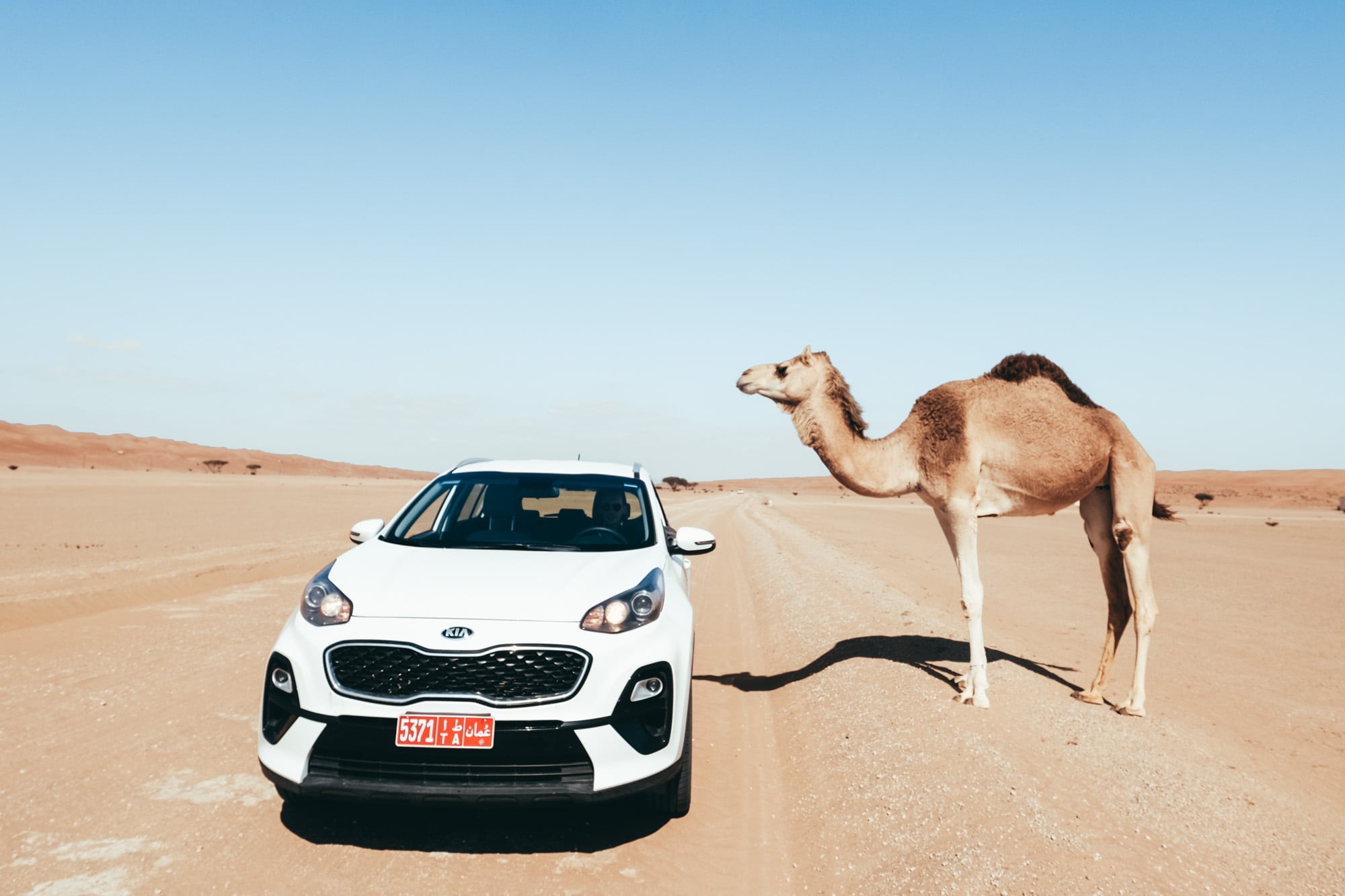 6 Tips for renting a car in Oman - TRAVELREBELS