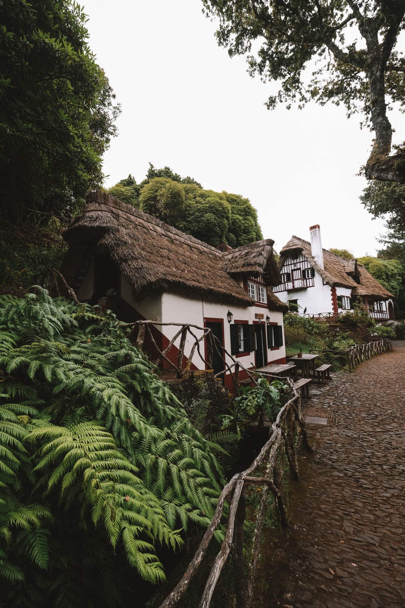 Tips for Hiking the PR9 Levada do Caldeirão Verde on Madeira