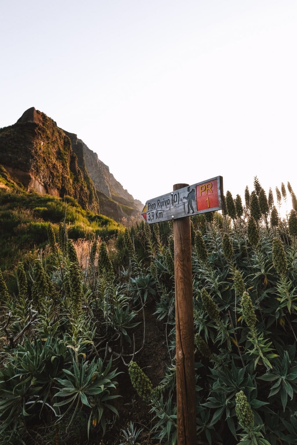 The 5 Most Beautiful Hikes in Madeira - TRAVELREBELS