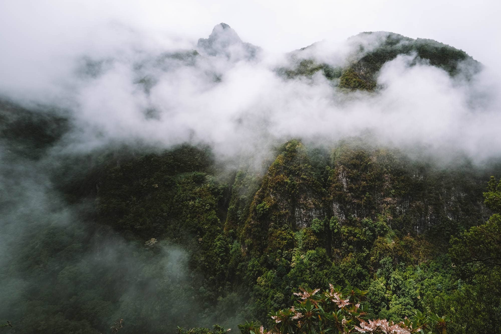 Tips for Hiking the PR9 Levada do Caldeirão Verde on Madeira