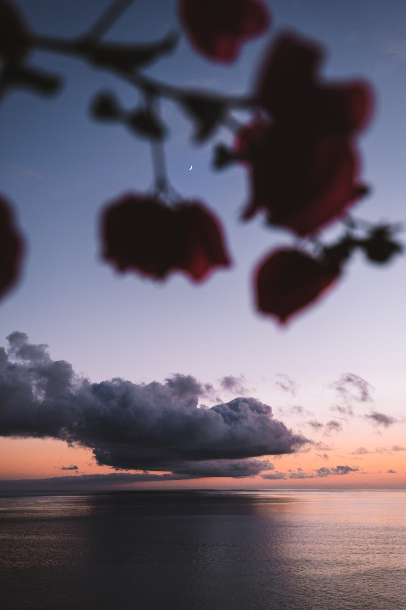 8 Practical Tips for a Vacation in Madeira - TRAVELREBELS