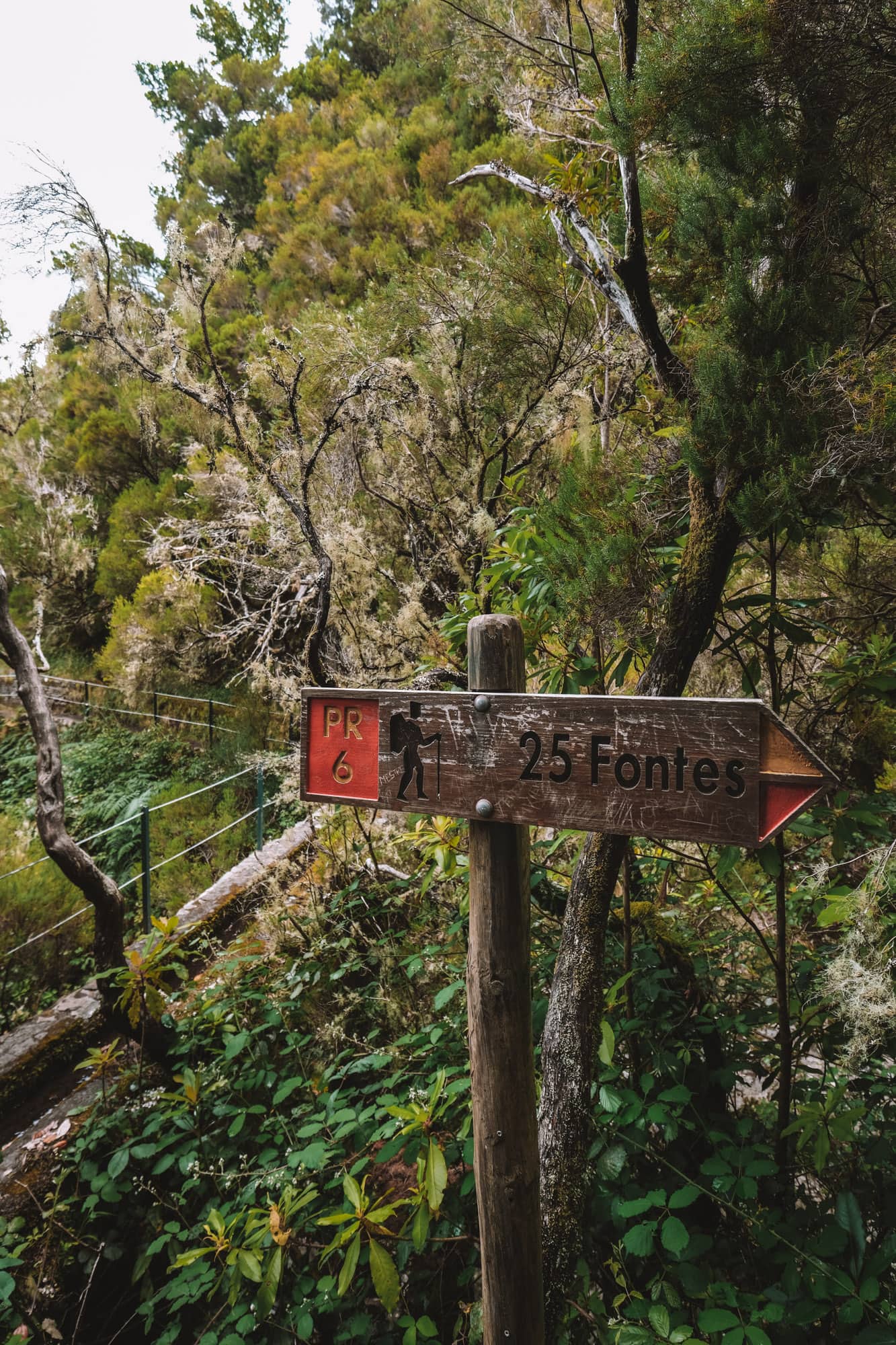 Tips for Hiking the PR6 25 Fontes & Waterfall on Madeira