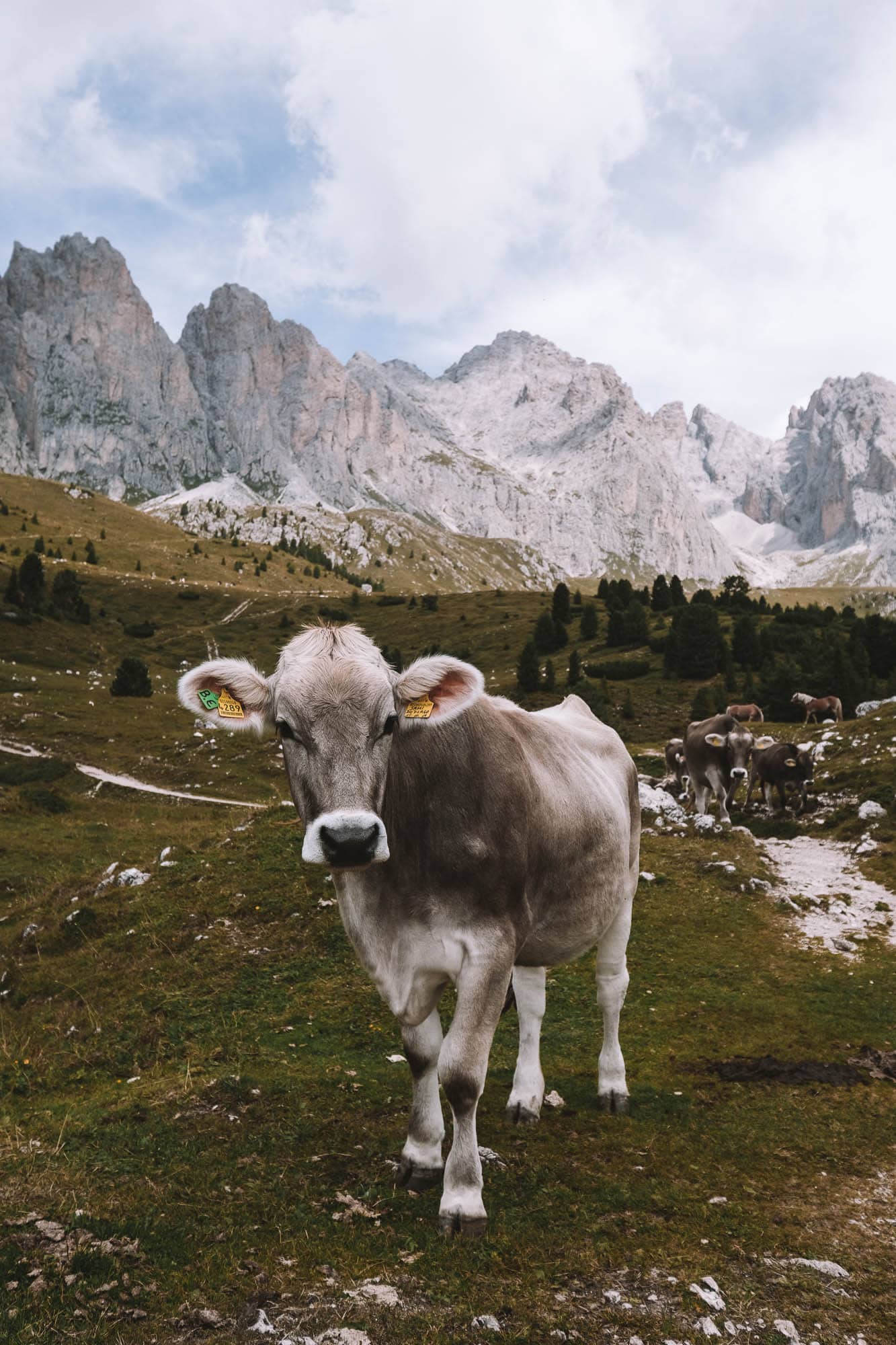 9 Practical Tips for Visiting the Dolomites - Travelrebels