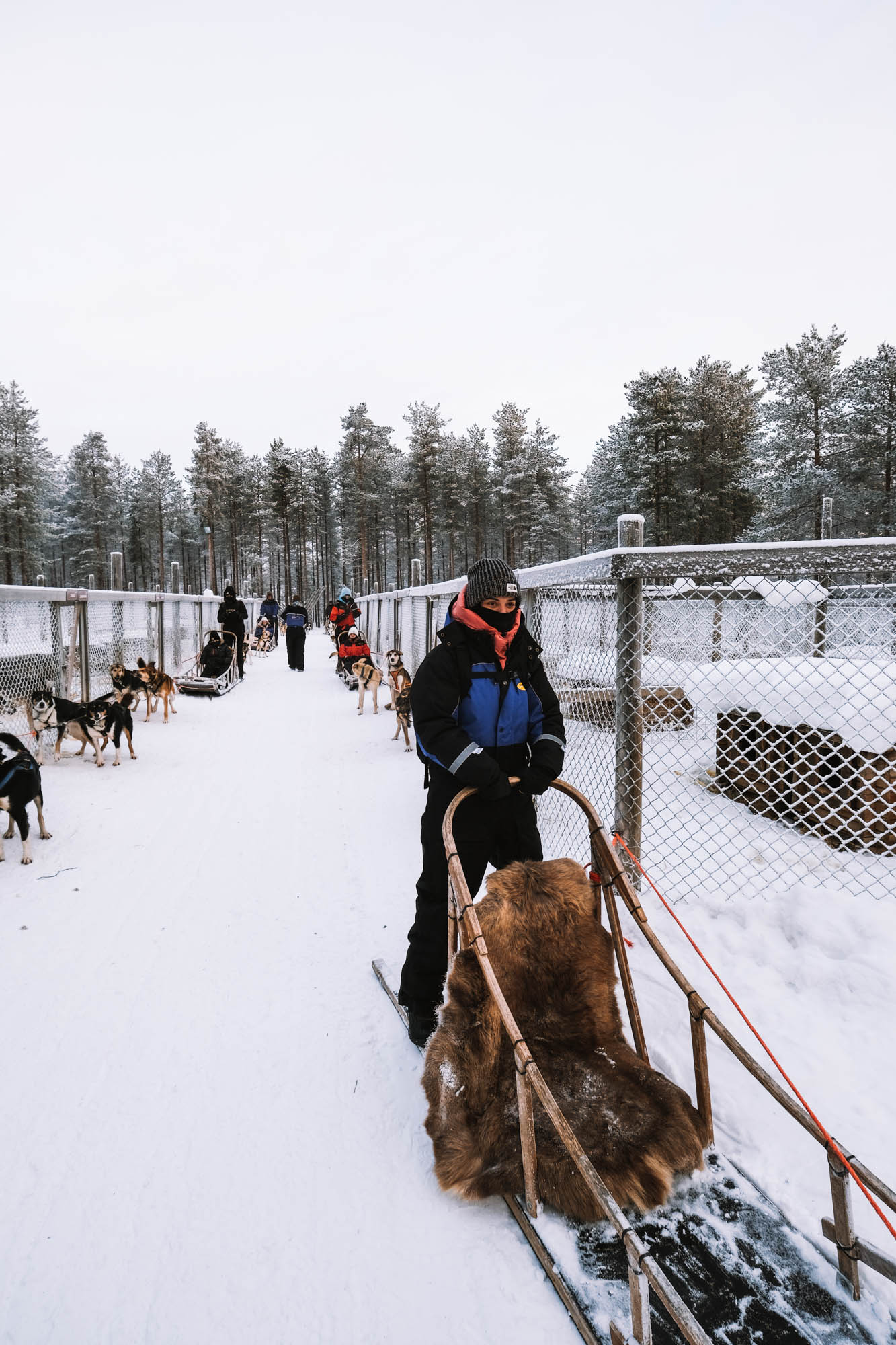 10 Activities That You Cannot Miss in Lapland (Updated 2024)