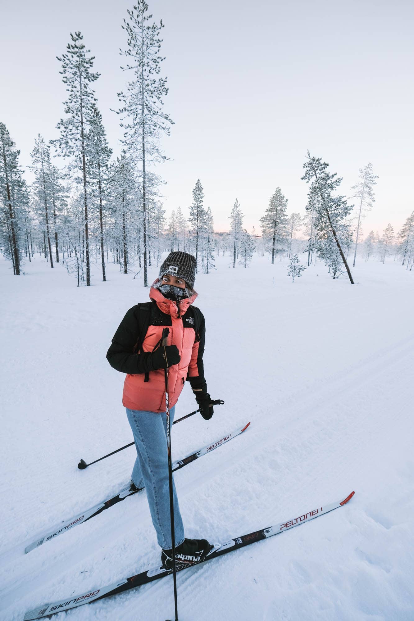 10 Activities That You Cannot Miss in Lapland (Updated 2024)