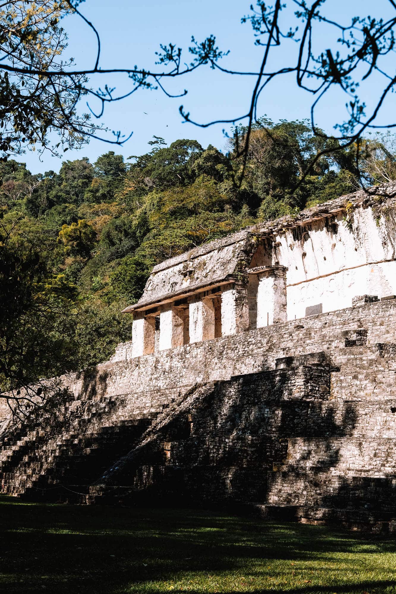 What to do in Palenque, Mexico? 5 Tips! - Travelrebels