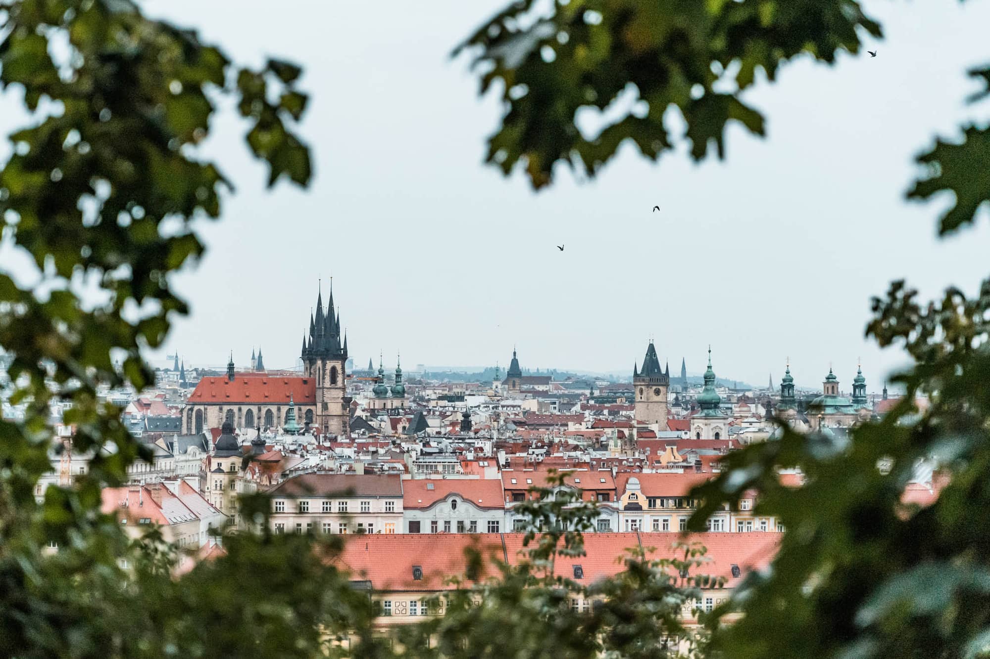 What to do in Prague? 14 Tips for the Best Sights on your City Trip!