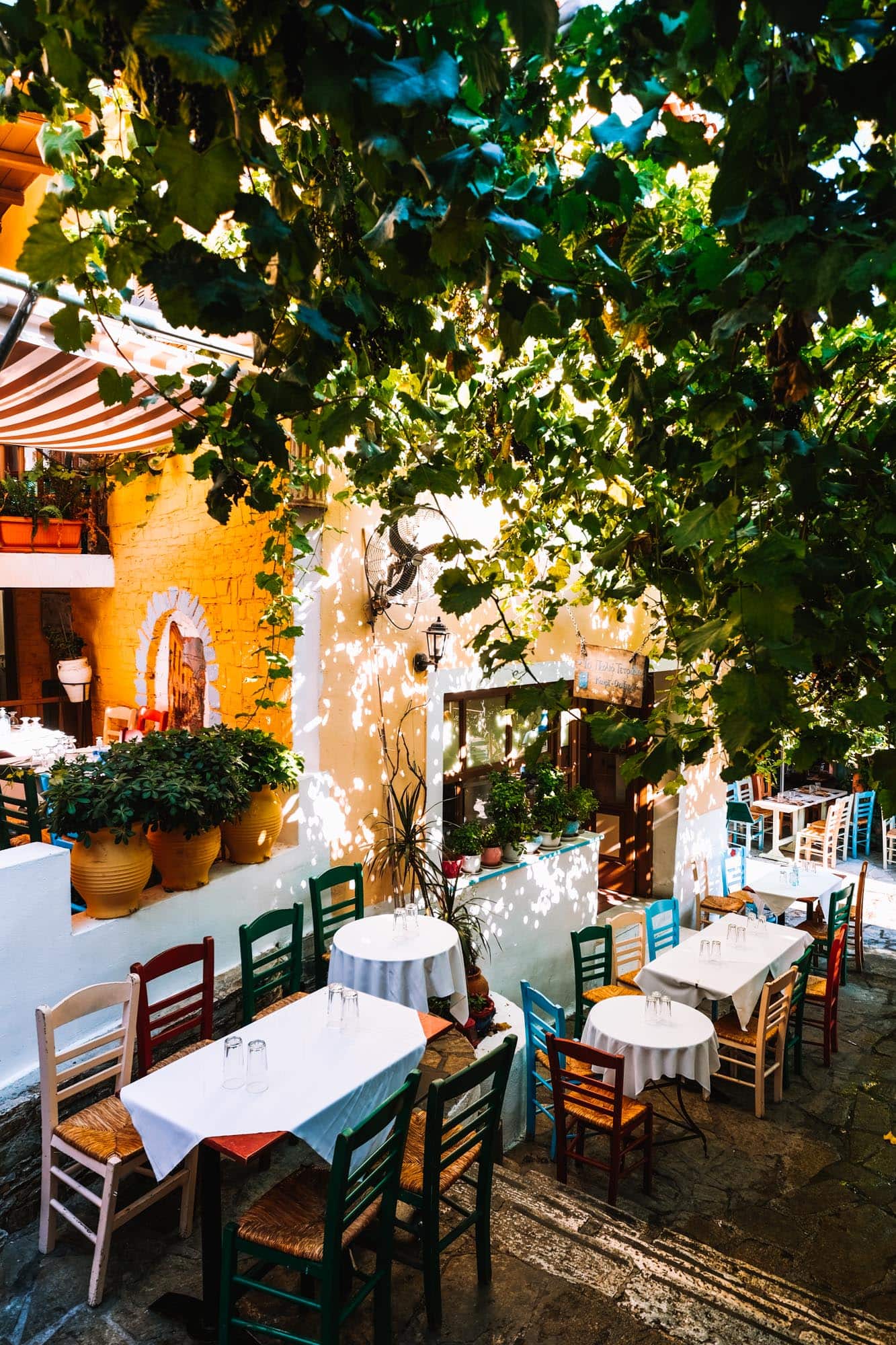 12 Best Things to Do in Athens (Updated 2024)