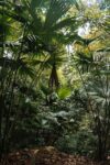 Travel Guide with 6 Things to do Panama City - TRAVELREBELS