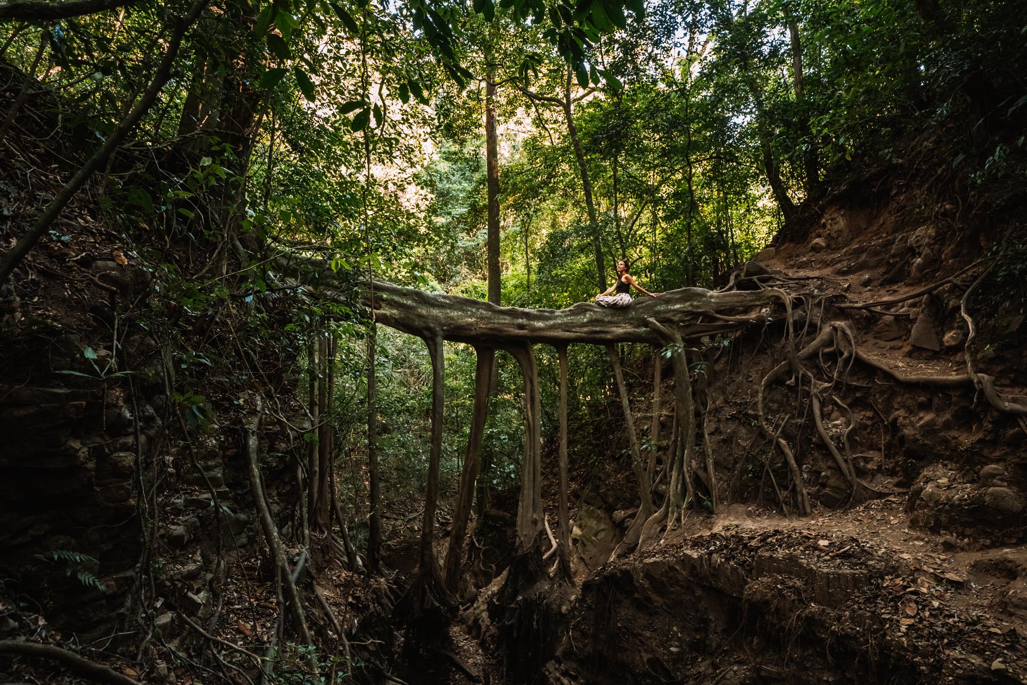 12 Fun Tips for Monteverde in Costa Rica - TRAVELREBELS