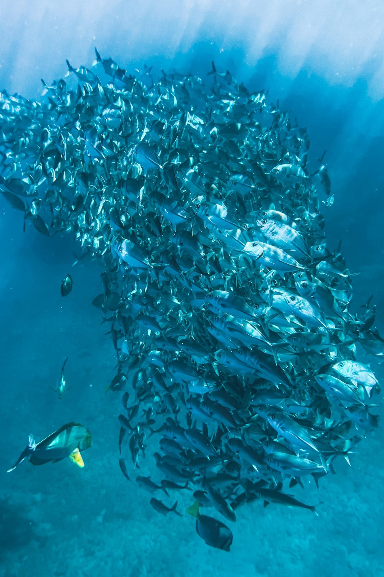 6 Tips for the Beautiful Drake Bay in Costa Rica - TRAVELREBELS