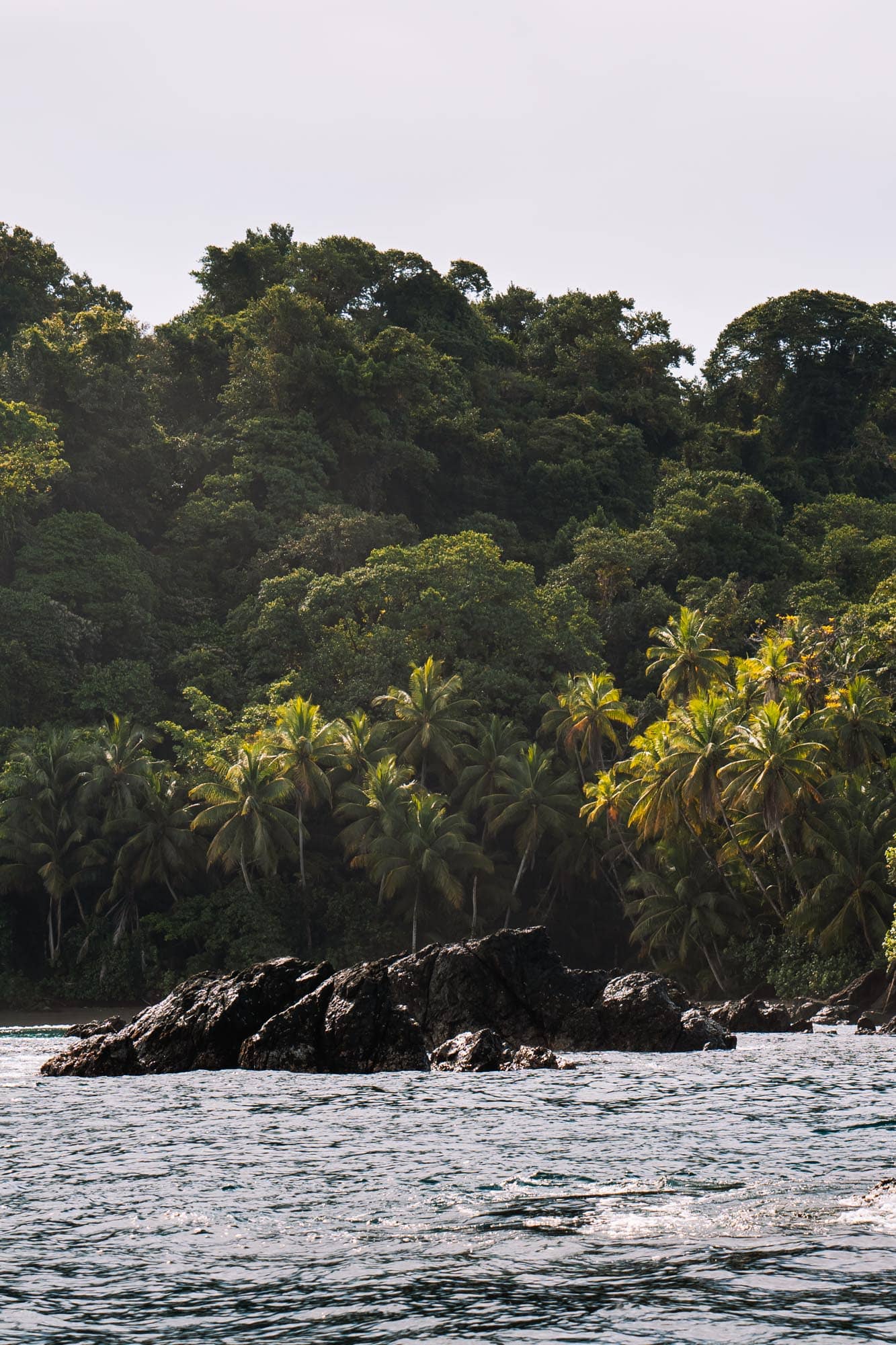 6 Tips for the Beautiful Drake Bay in Costa Rica - TRAVELREBELS