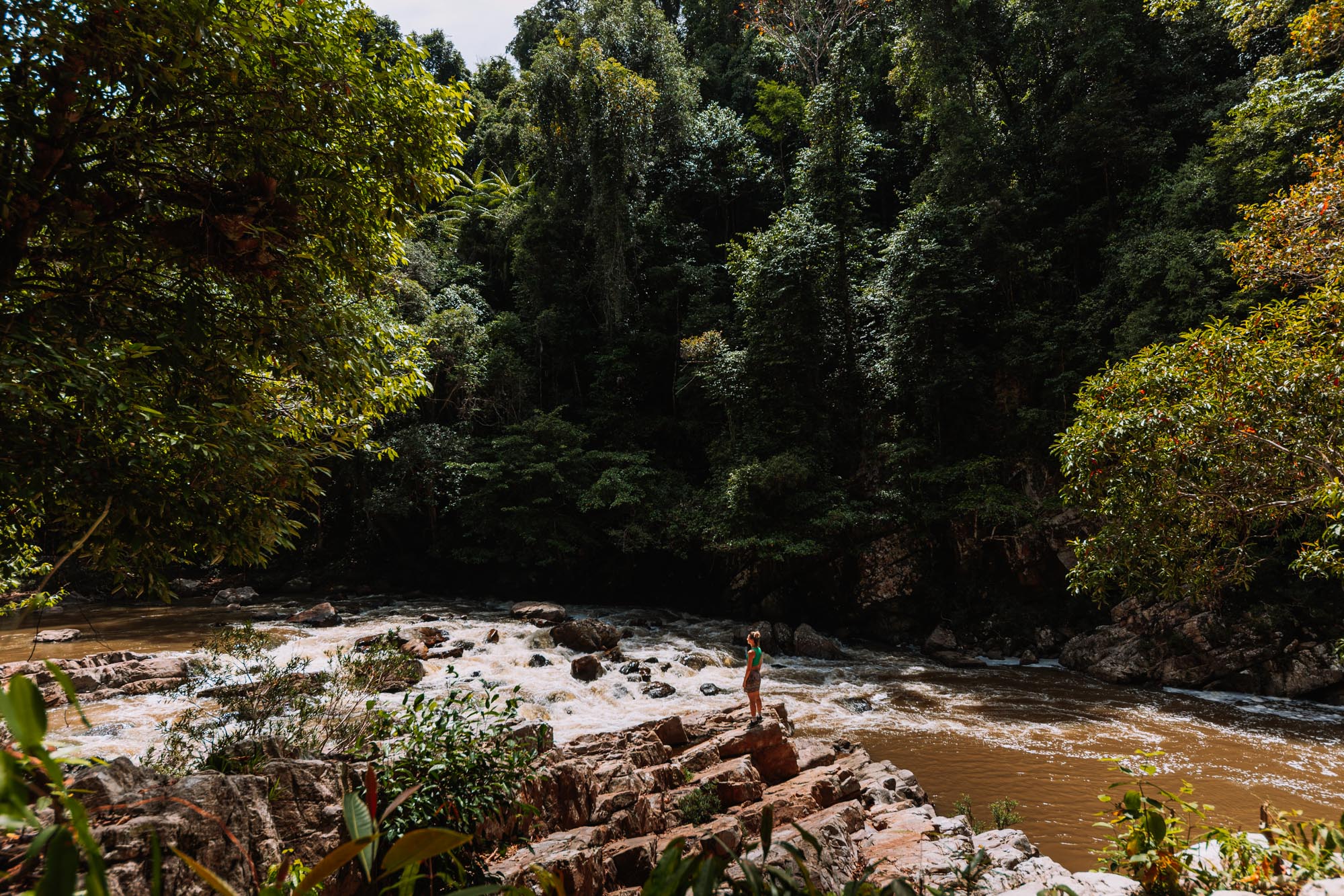 Taman Negara: Best Things To Do + Tips (Updated 2025)