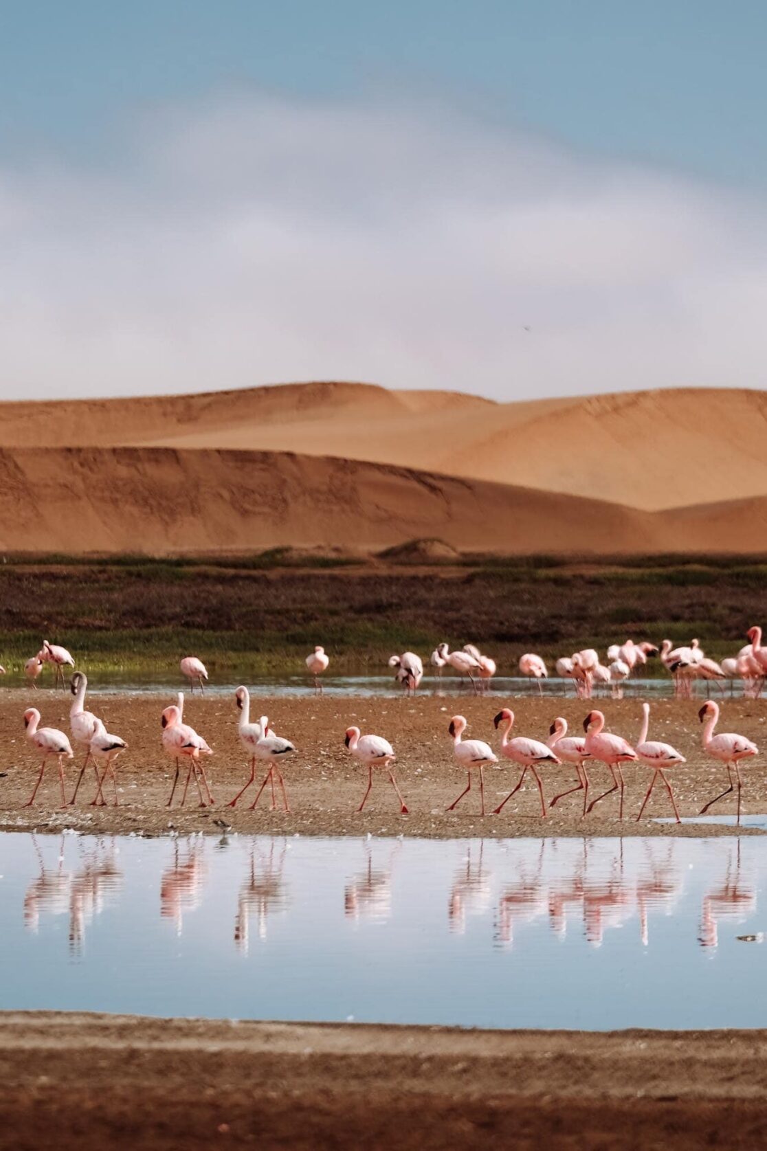 The 10 Most Fun Things to Do in Swakopmund, Namibia