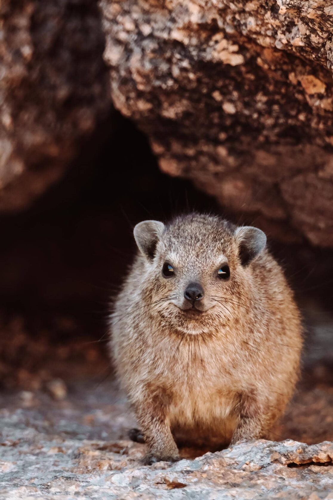 Visiting Spitzkoppe in Namibia? Here are 10 of The Best Tips!