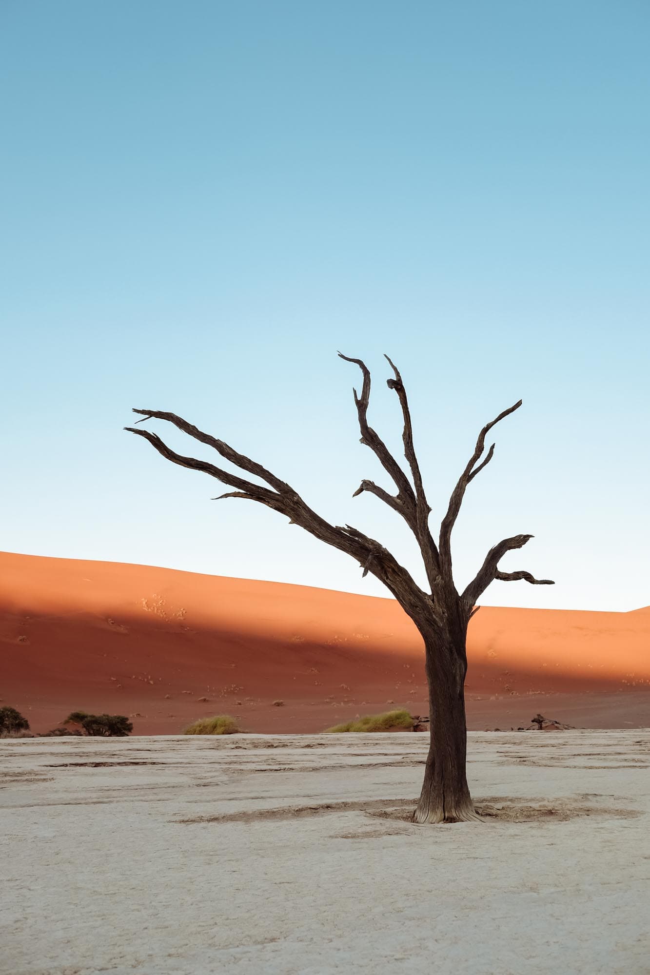 10 Tips for Visiting Sossusvlei in Namibia - Travelrebels