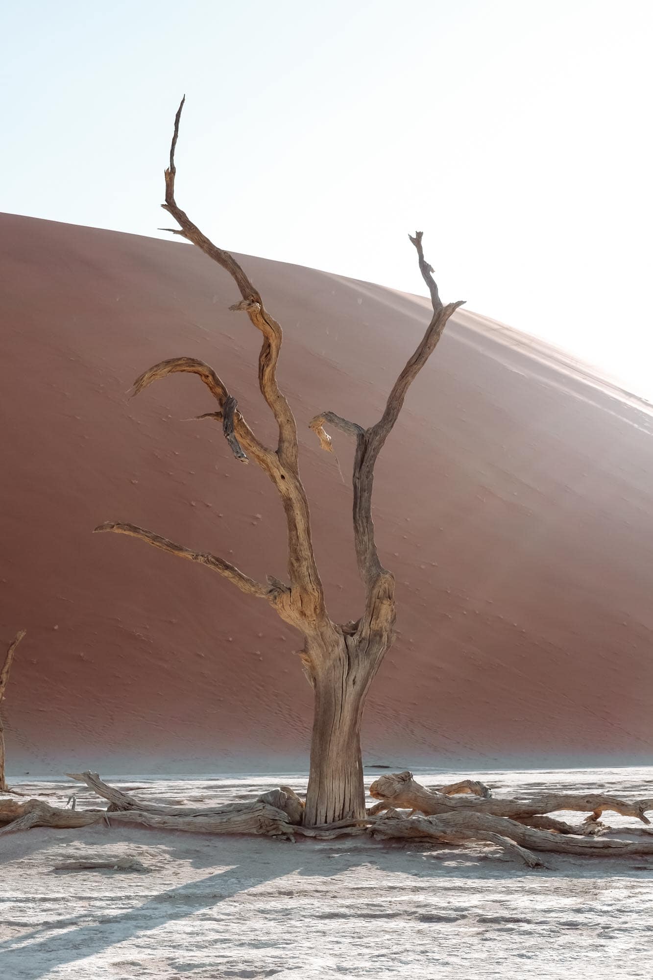 Review: Our experience with the road trip by Namibia Nomads