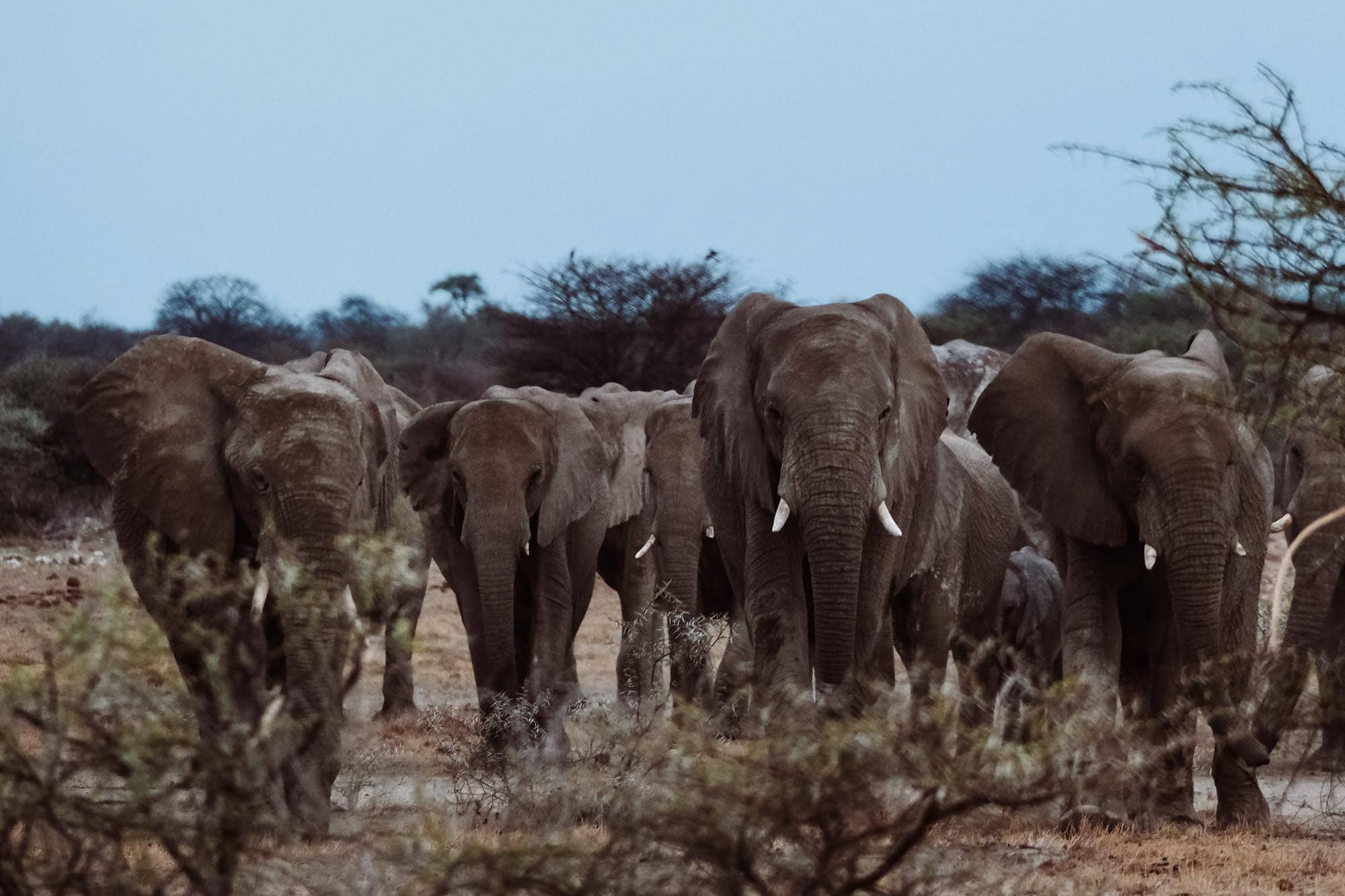 Review: Our experience with the road trip by Namibia Nomads