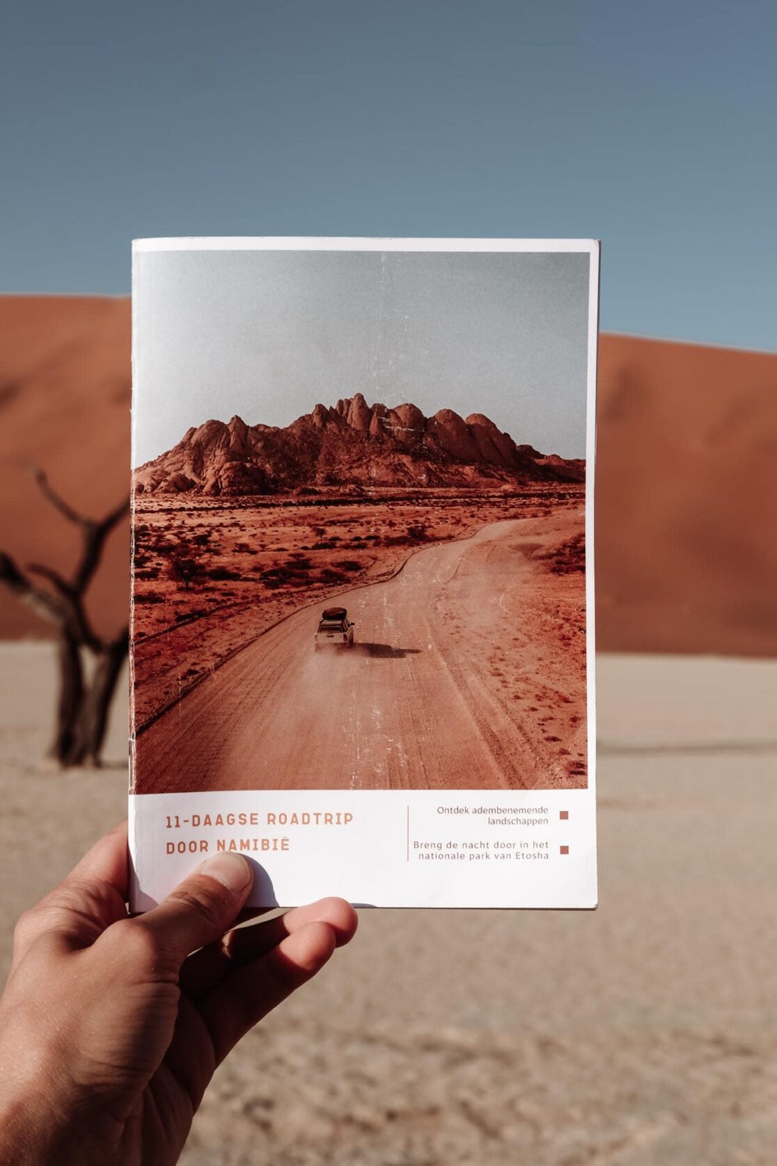 The Ultimate Itinerary for Namibia + Tips (Updated 2025)