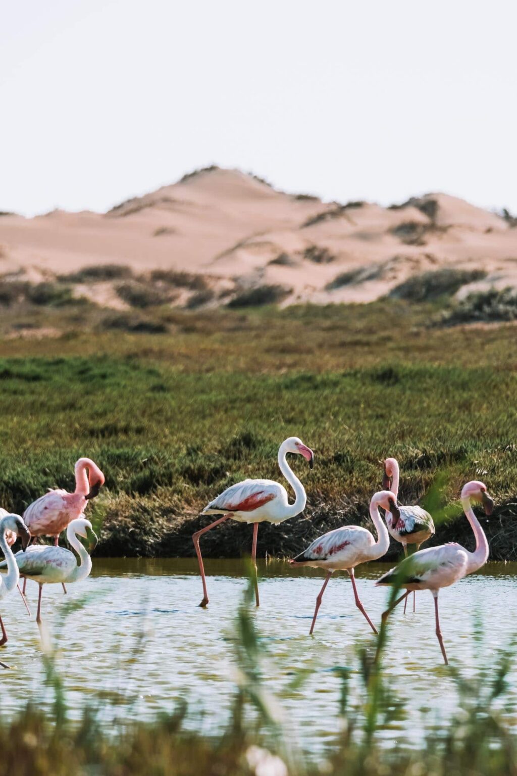 The 10 Most Fun Things to Do in Swakopmund, Namibia