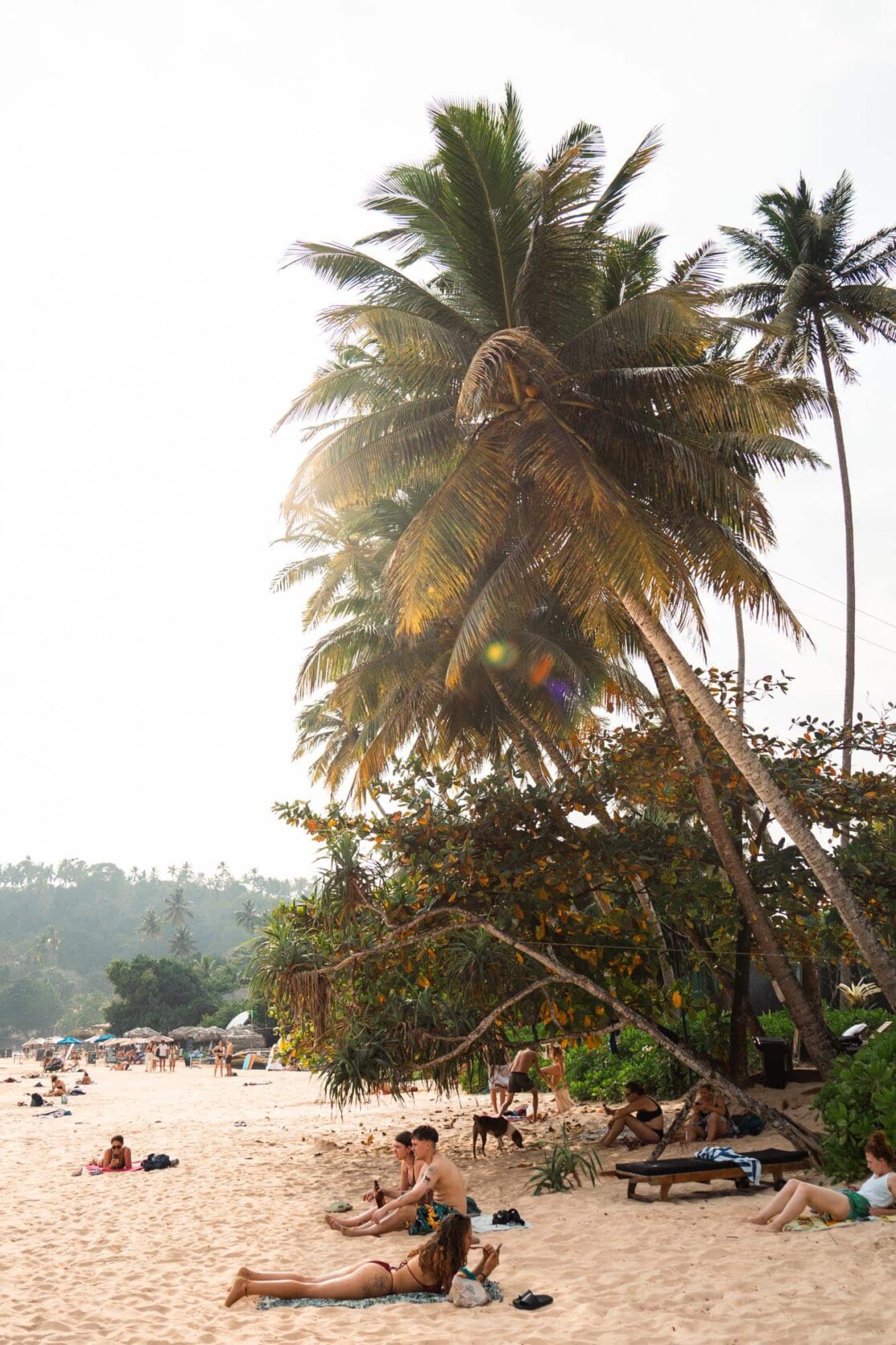 12 Best Things to Do in Mirissa, Sri Lanka