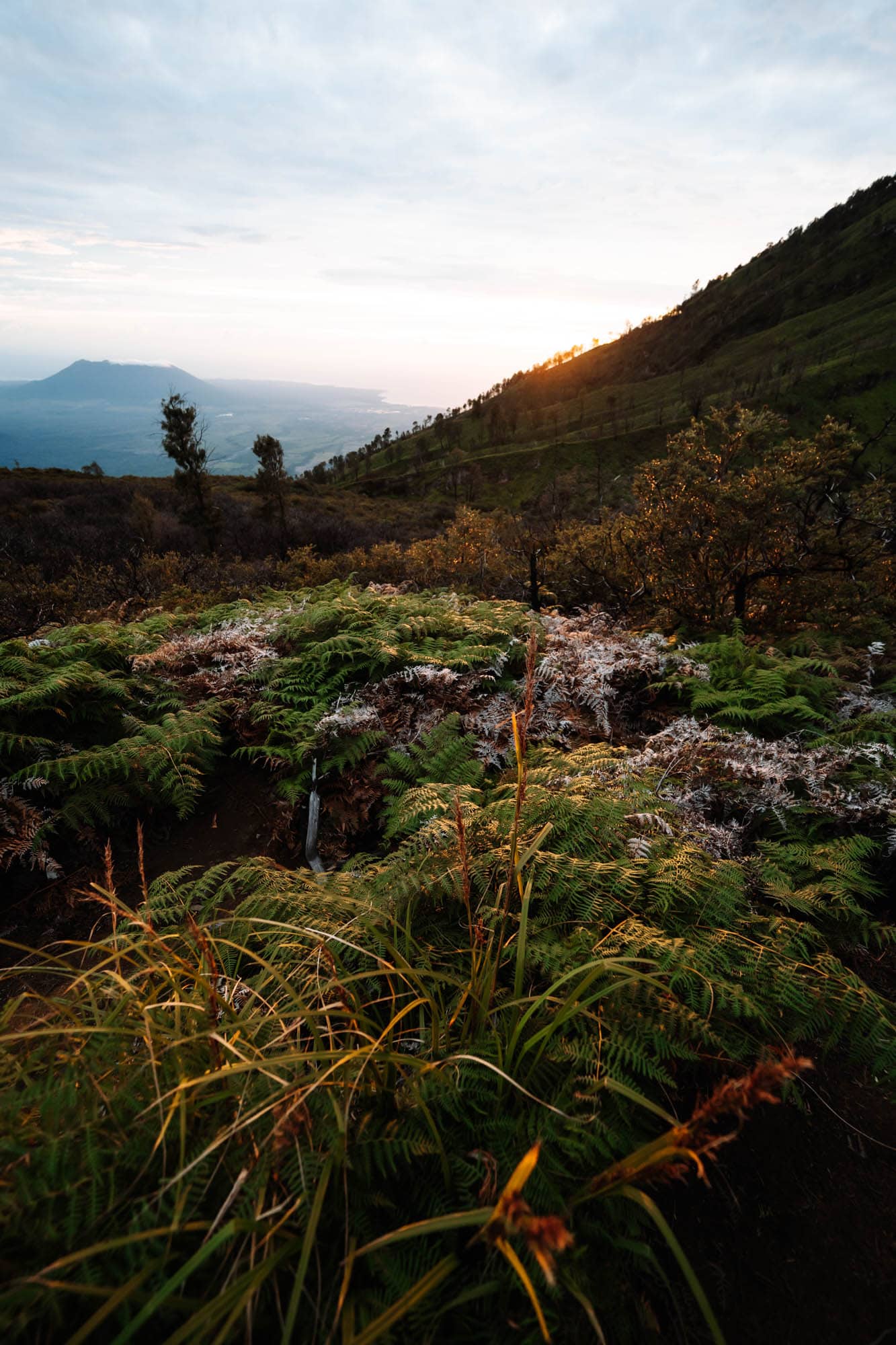 Climbing Mount Ijen: Everything You Need to Know + Practical Tips