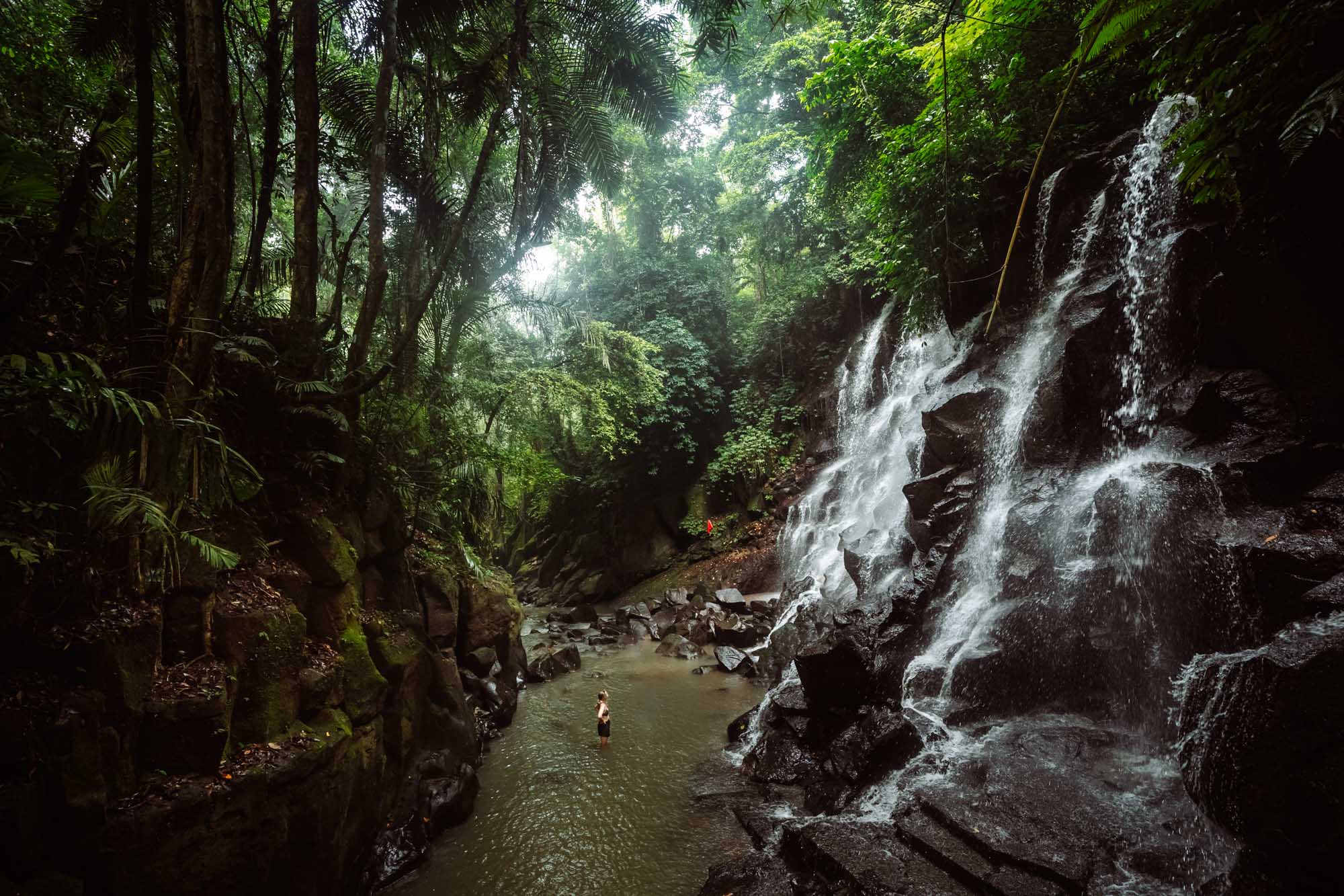 What to Do in Ubud? 12 Things to Do in the Most Beautiful Places!