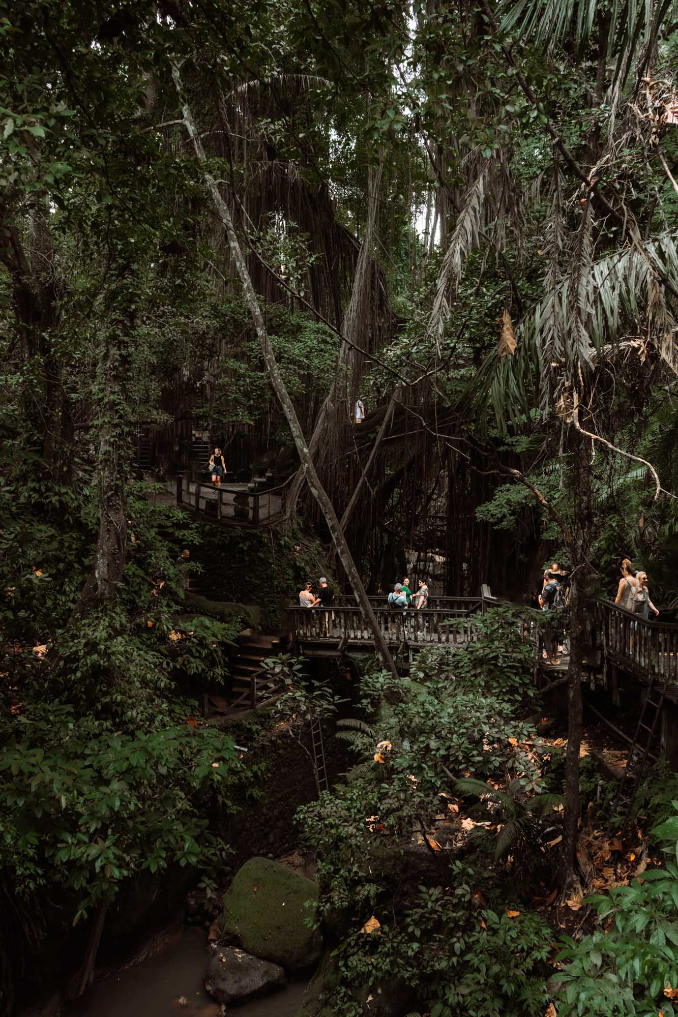 What to Do in Ubud? 12 Things to Do in the Most Beautiful Places!