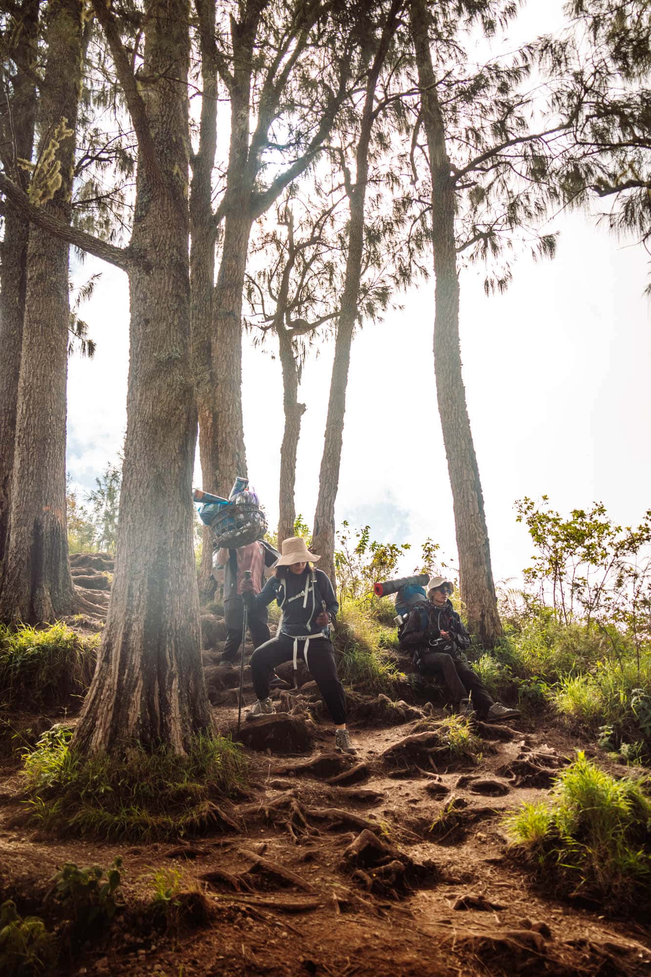 Things You Need to Know before Climbing Mount Rinjani