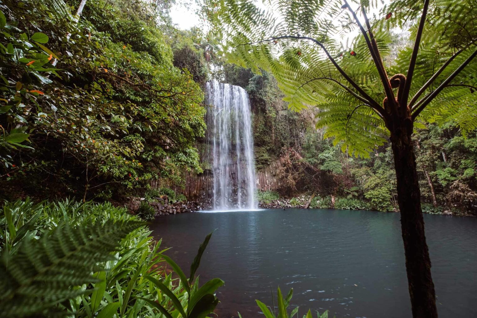 Hike to Wallaman Falls: The Tallest Waterfall in Australia