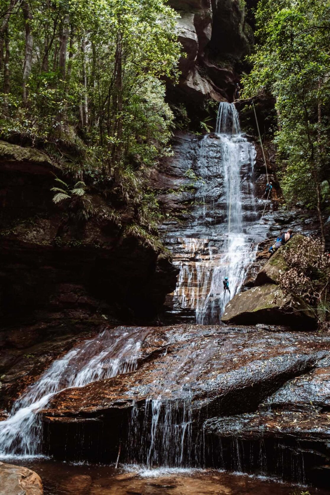 11 Tips for the Most Beautiful Spots of the Blue Mountains
