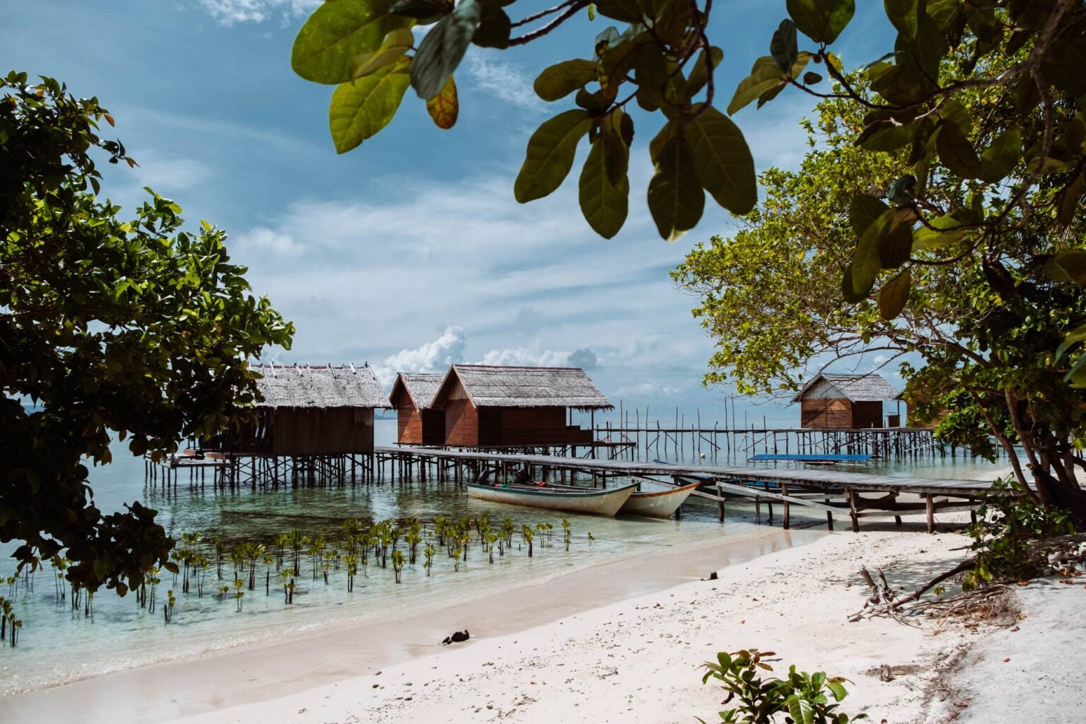 TRAVELREBELS / 10 Tips for Traveling in Raja Ampat