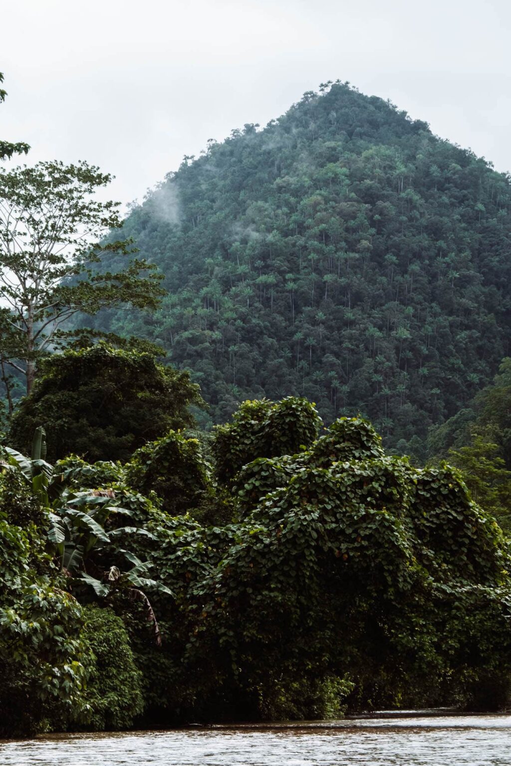 Tips for Visiting Kali Biru (Blue River) in Raja Ampat