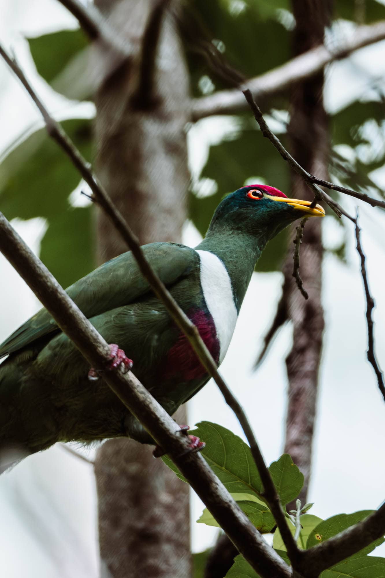 The 6 Most Fun Things to Do on Batanta in Raja Ampat