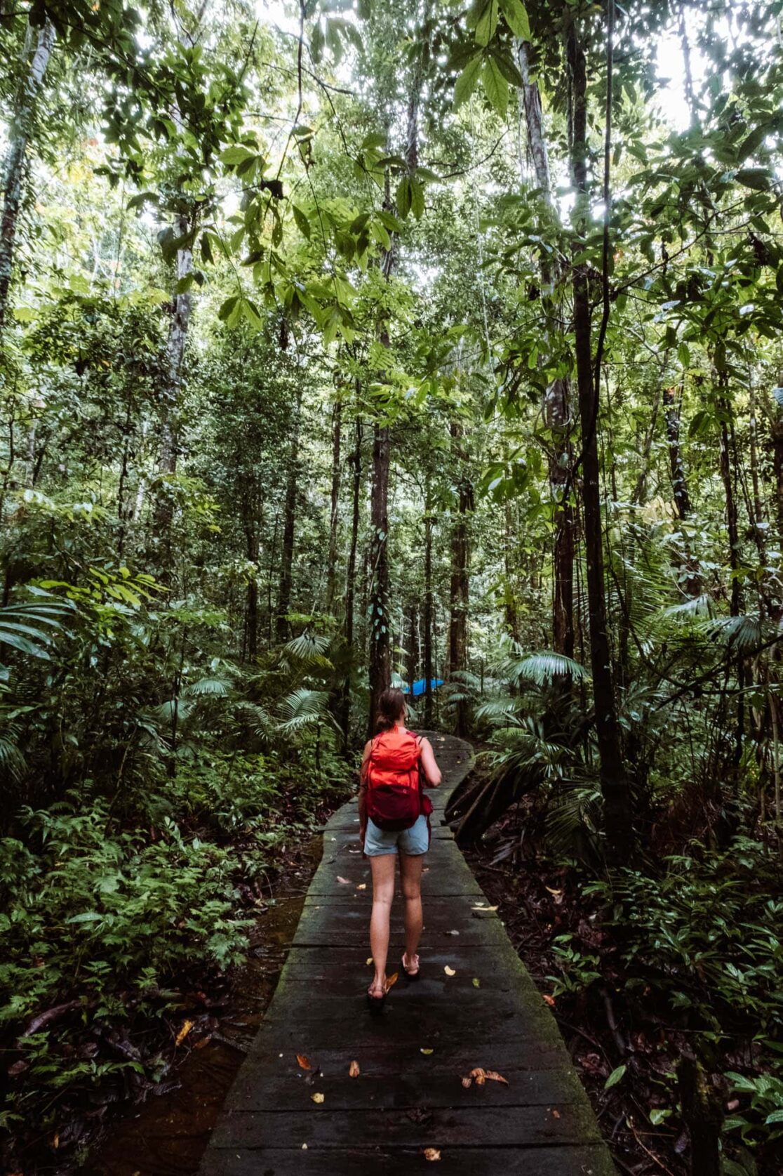 The Ultimate Itinerary for Island-Hopping in Raja Ampat