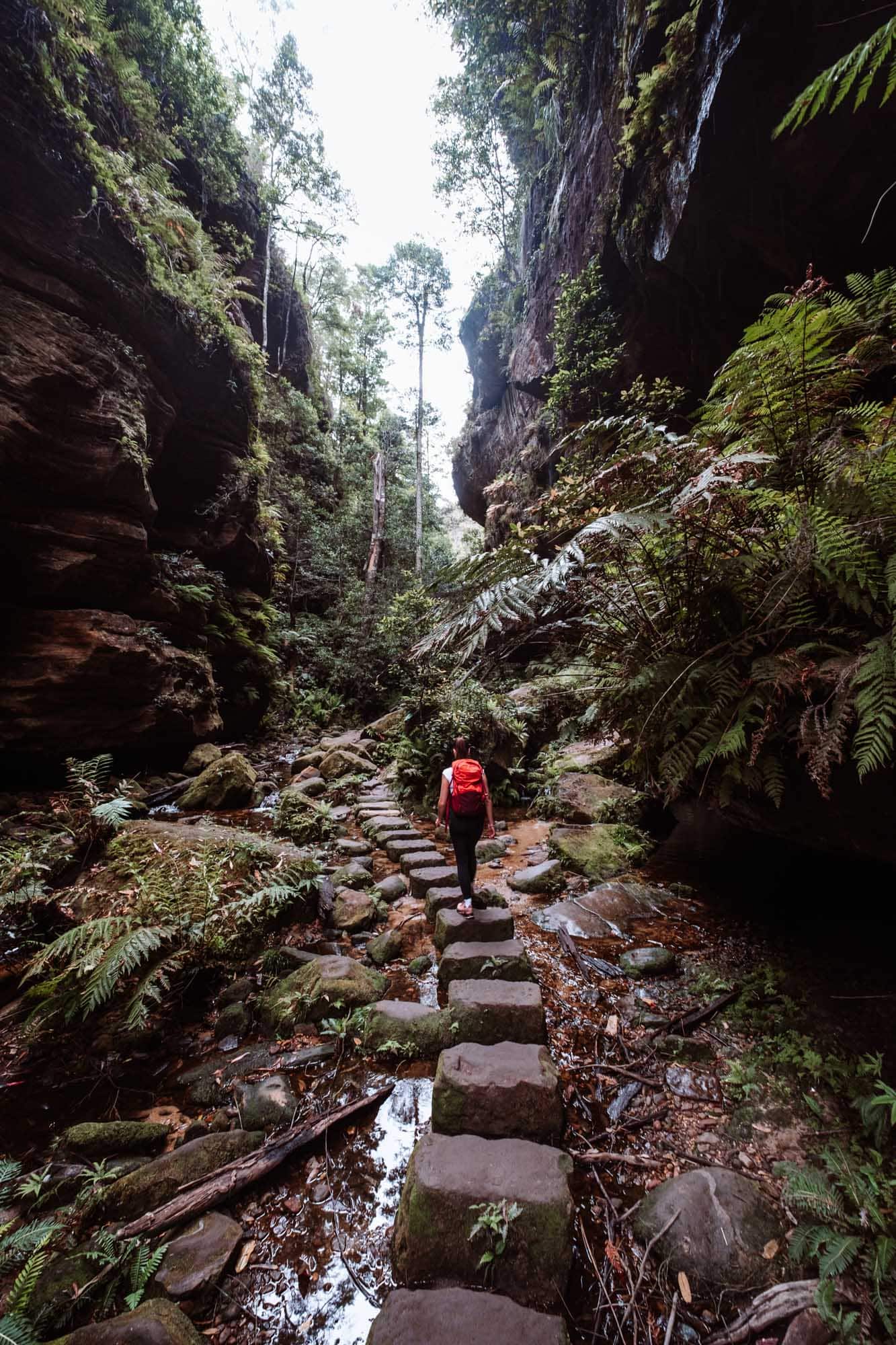 11 Tips for the Most Beautiful Spots of the Blue Mountains