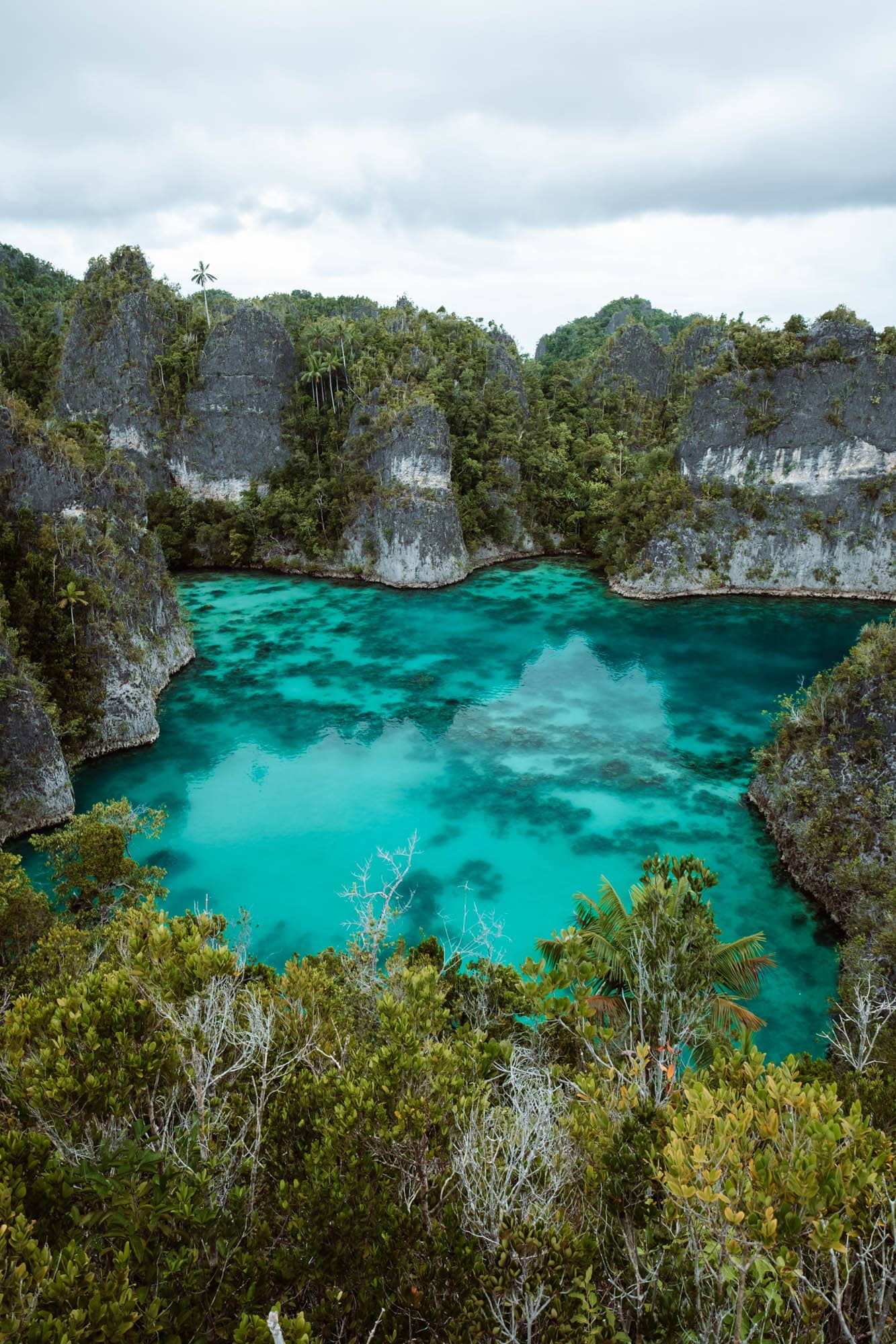 5 Things to Do on the Piaynemo & Fam Islands in Raja Ampat