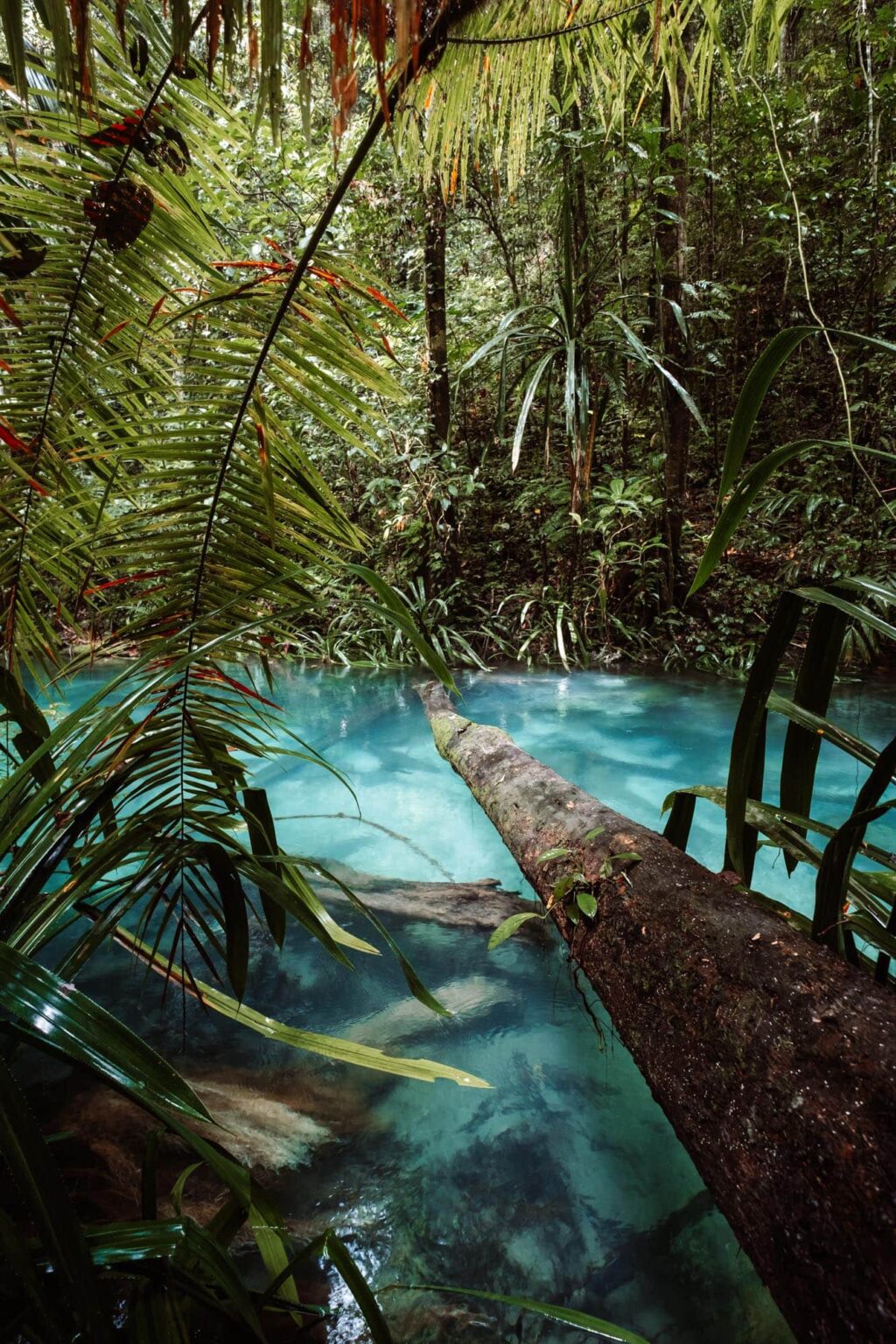 Tips for Visiting Kali Biru (Blue River) in Raja Ampat