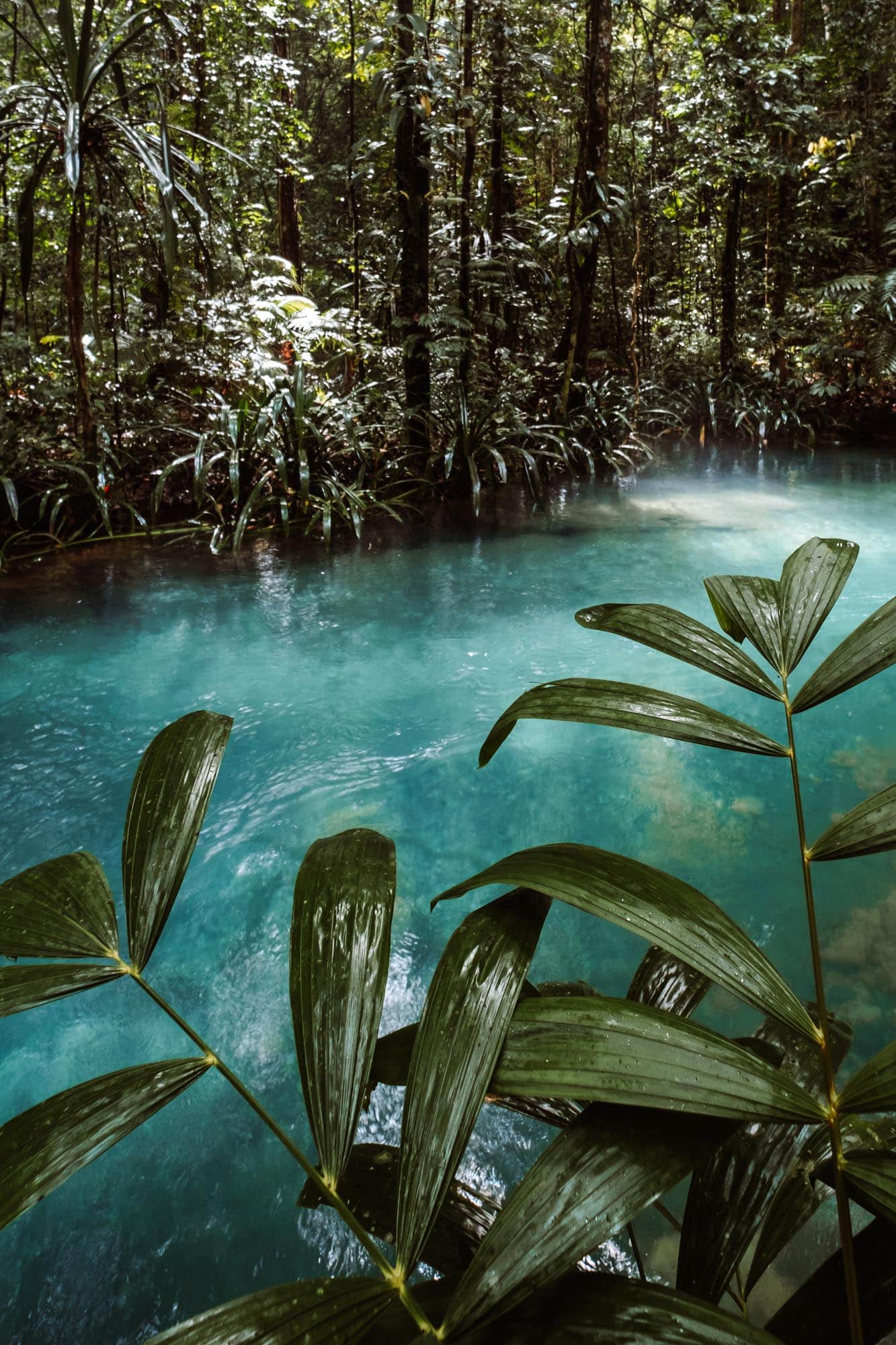 Tips for Visiting Kali Biru (Blue River) in Raja Ampat