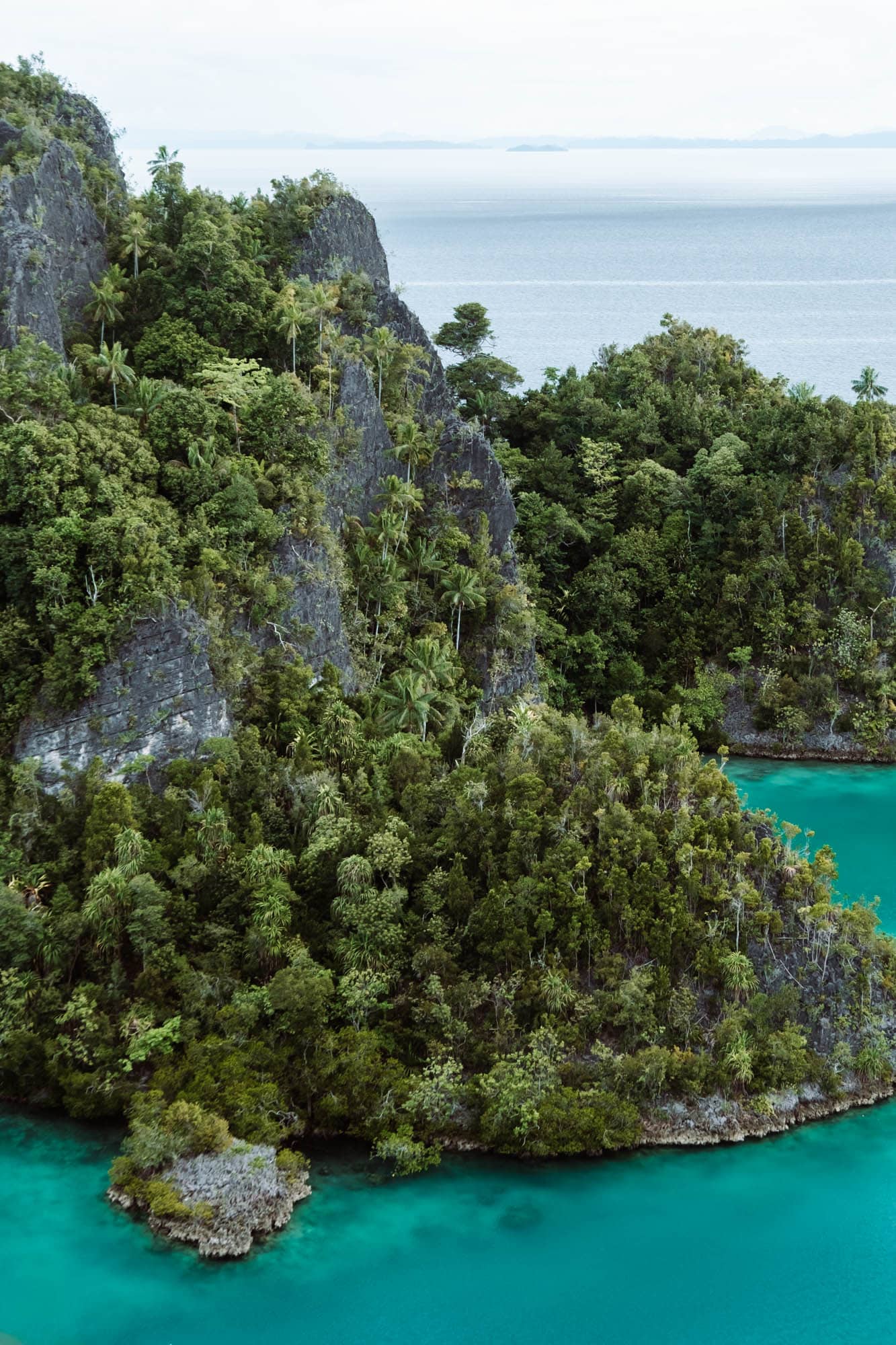 5 Things to Do on the Piaynemo & Fam Islands in Raja Ampat